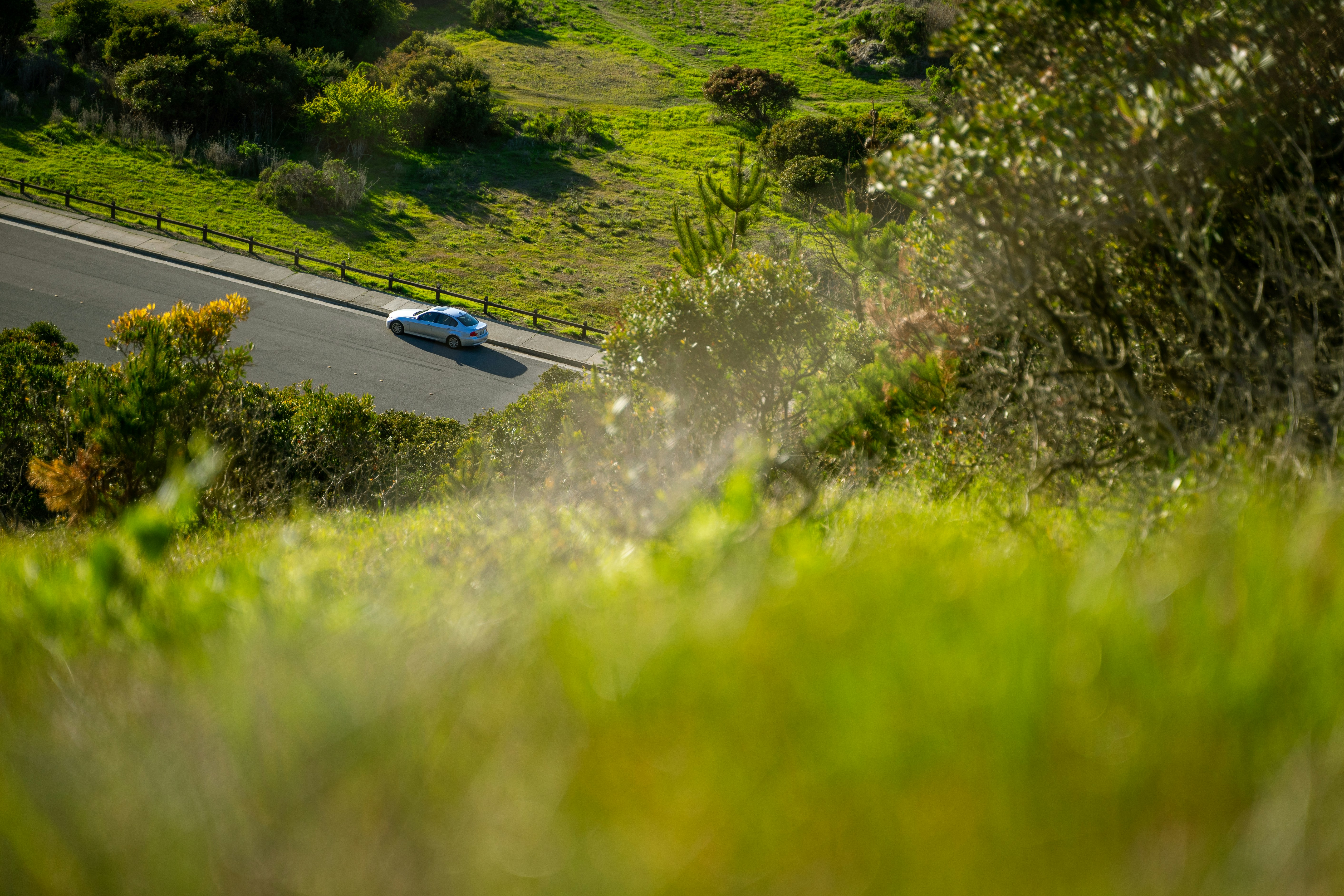 Blue coupe threads a hillside bend, glimpsed through a veil of foreground grasses