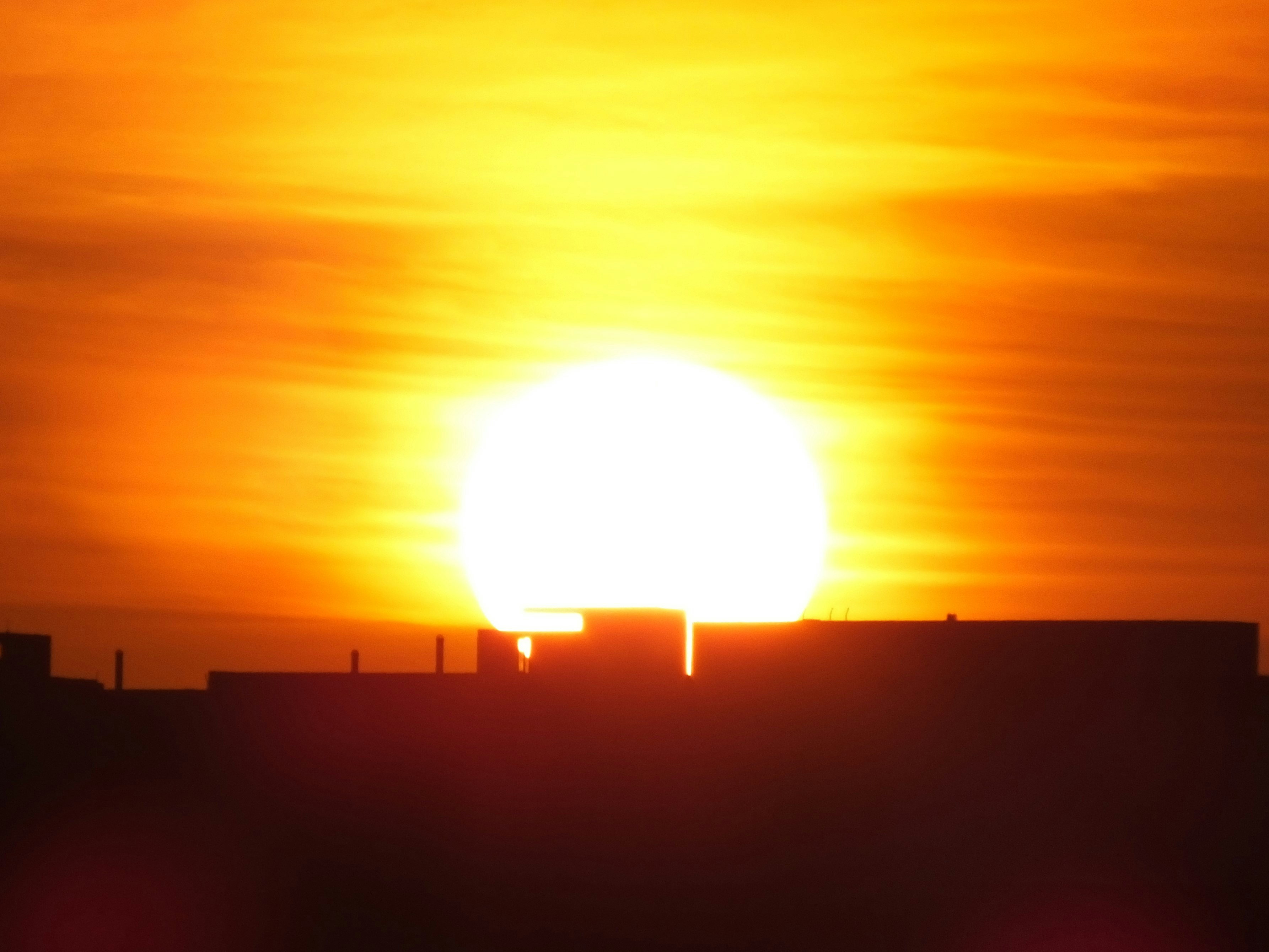 Abhinav Chitikela (@prof_awi) | Unsplashフォトコミュニティ