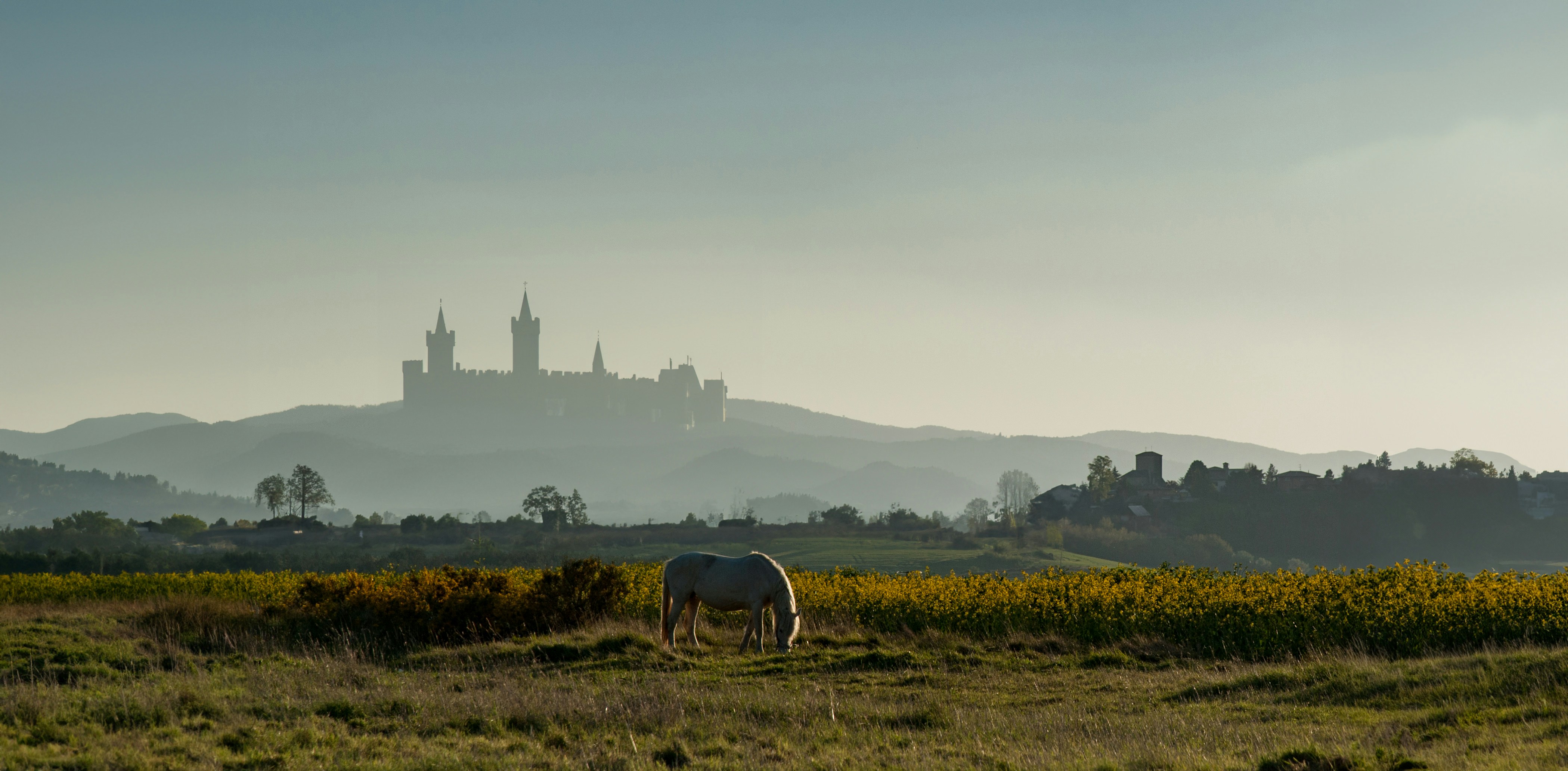 Horizon with a Patient Stallion: A Golden Field Under a Distant Fortress