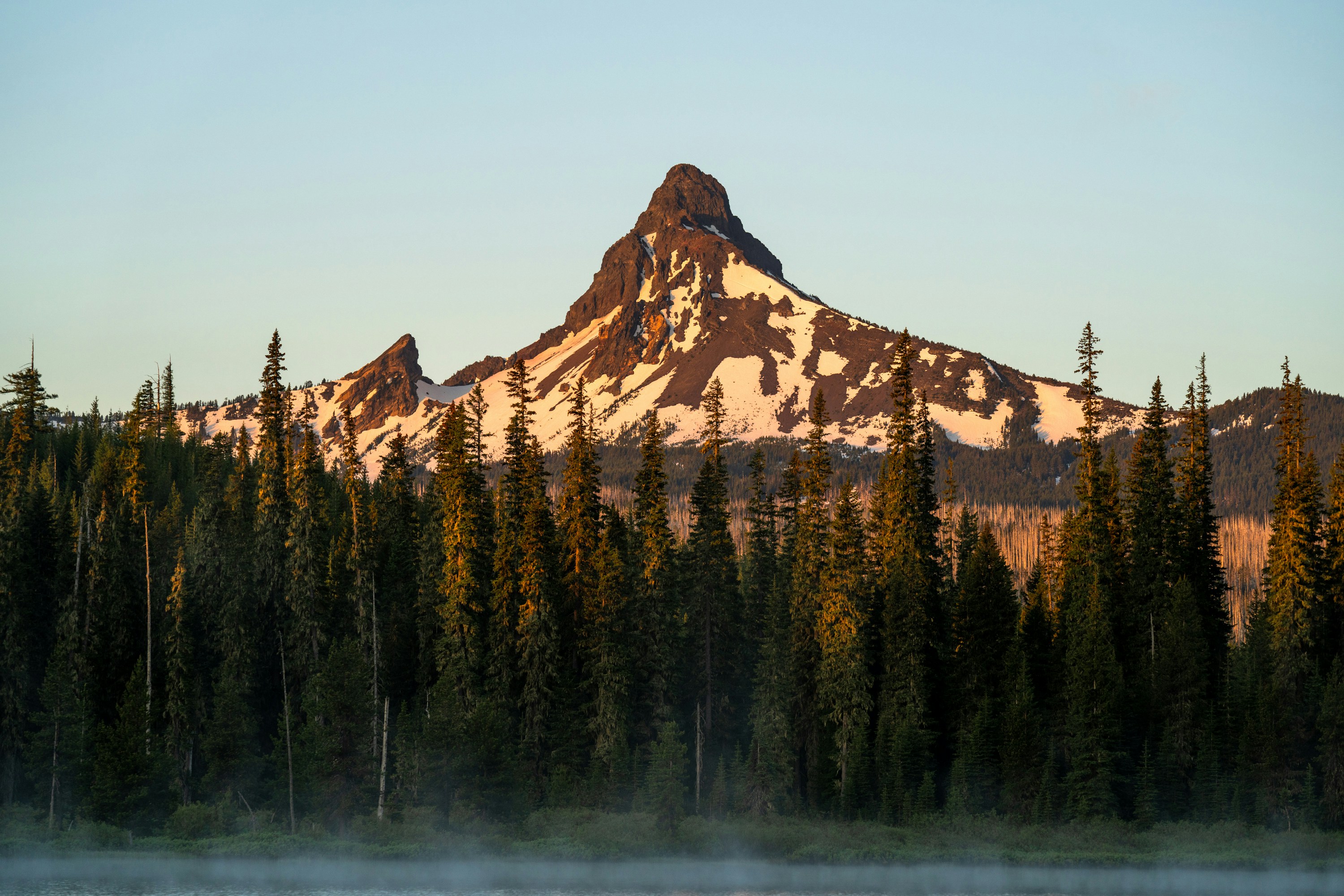 Sunlit Peaks and Forest Shadows