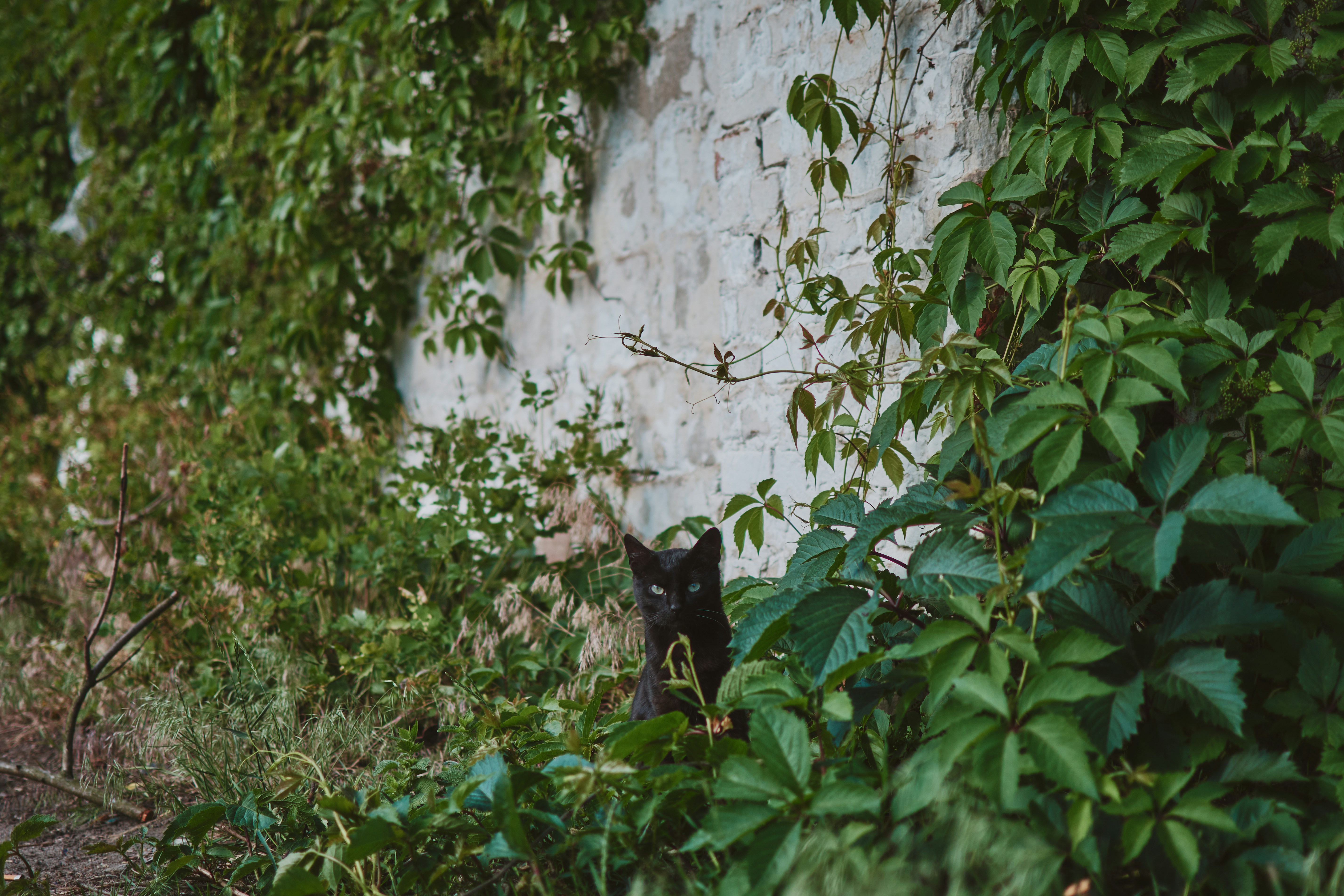 Photo by Slava L with Nikon D5600