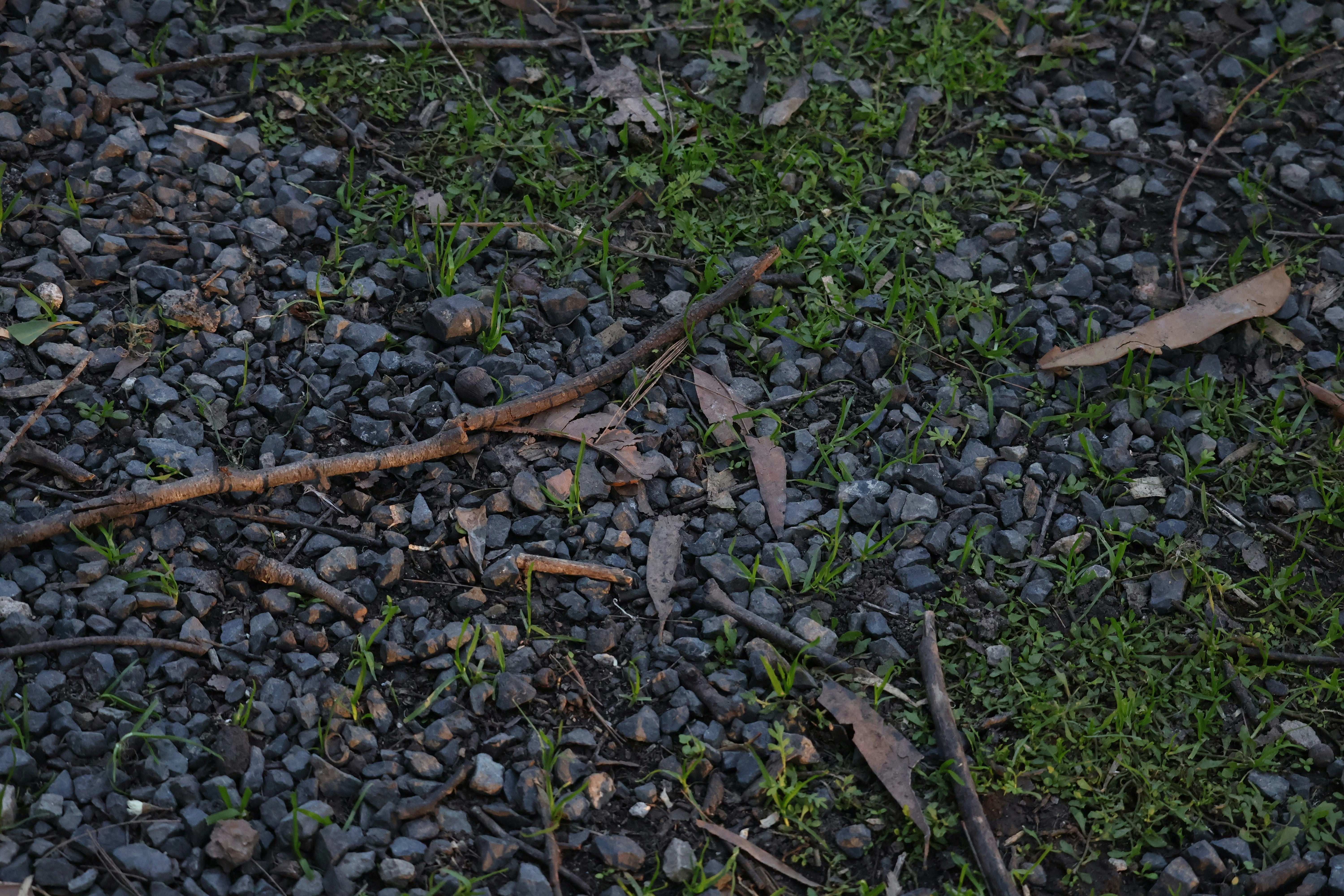 Photo by Daniella Pienaar with Canon EOS R50