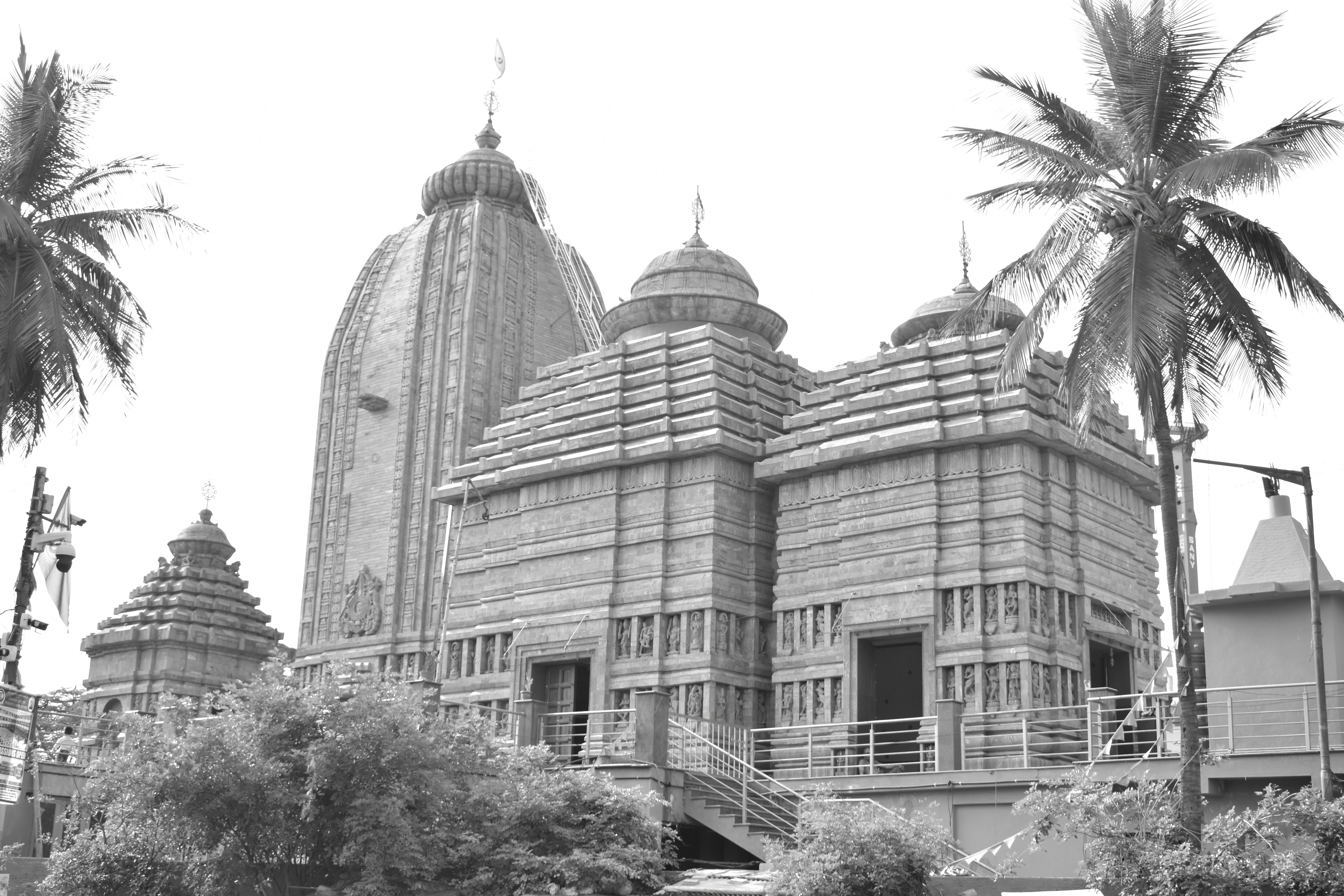 Monochrome Monuments: Stone Domes Rising Among Palms