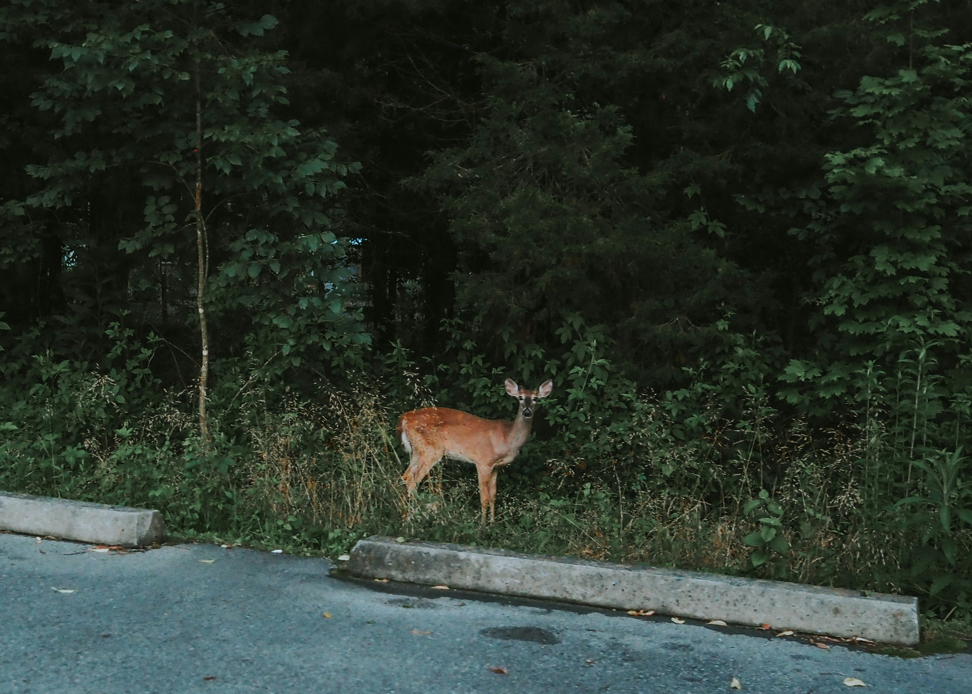 Nashville, TN | Olympus PEN-F Digital | 06.15.2023