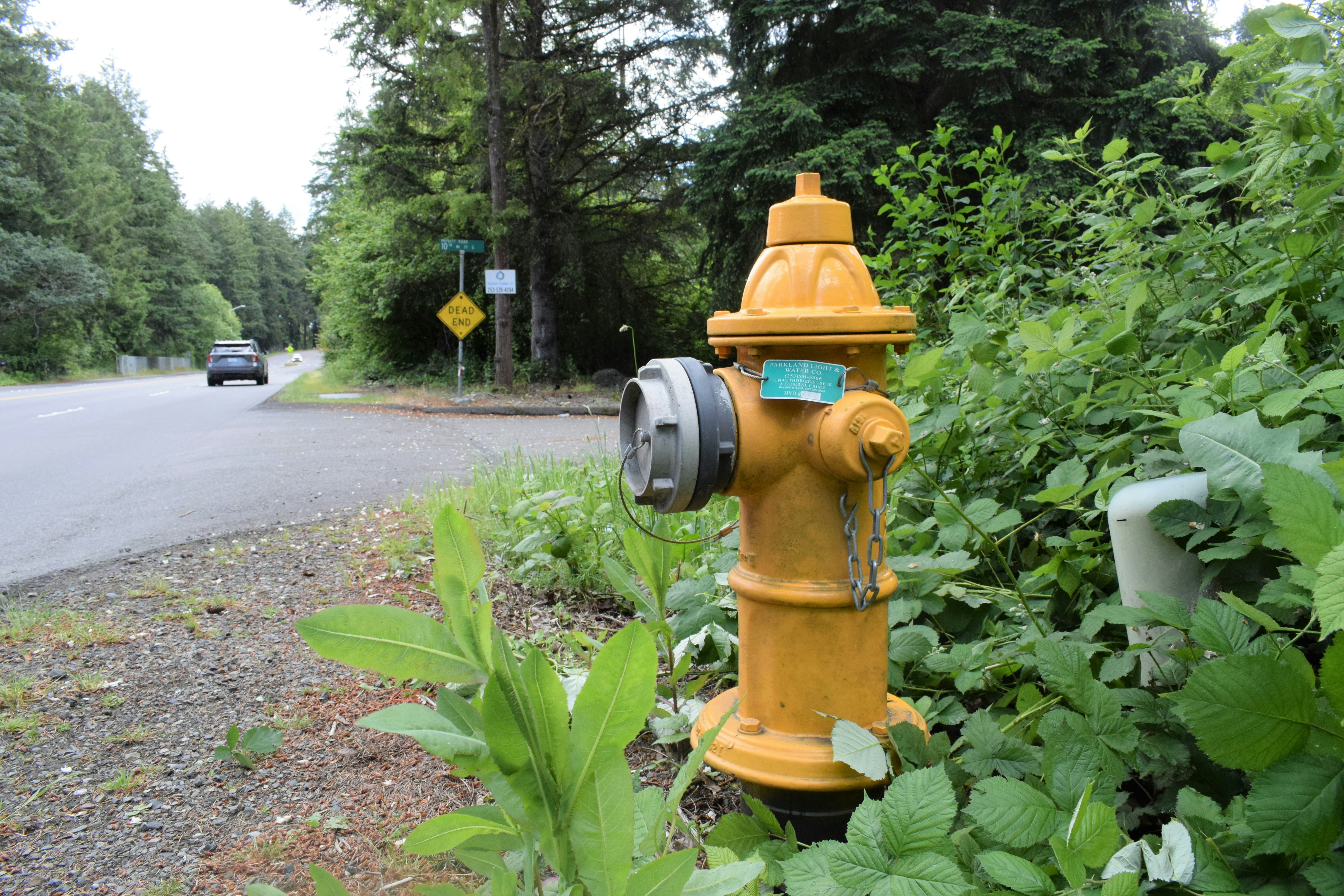 Photo by Fr0ggy5 with Nikon D3300