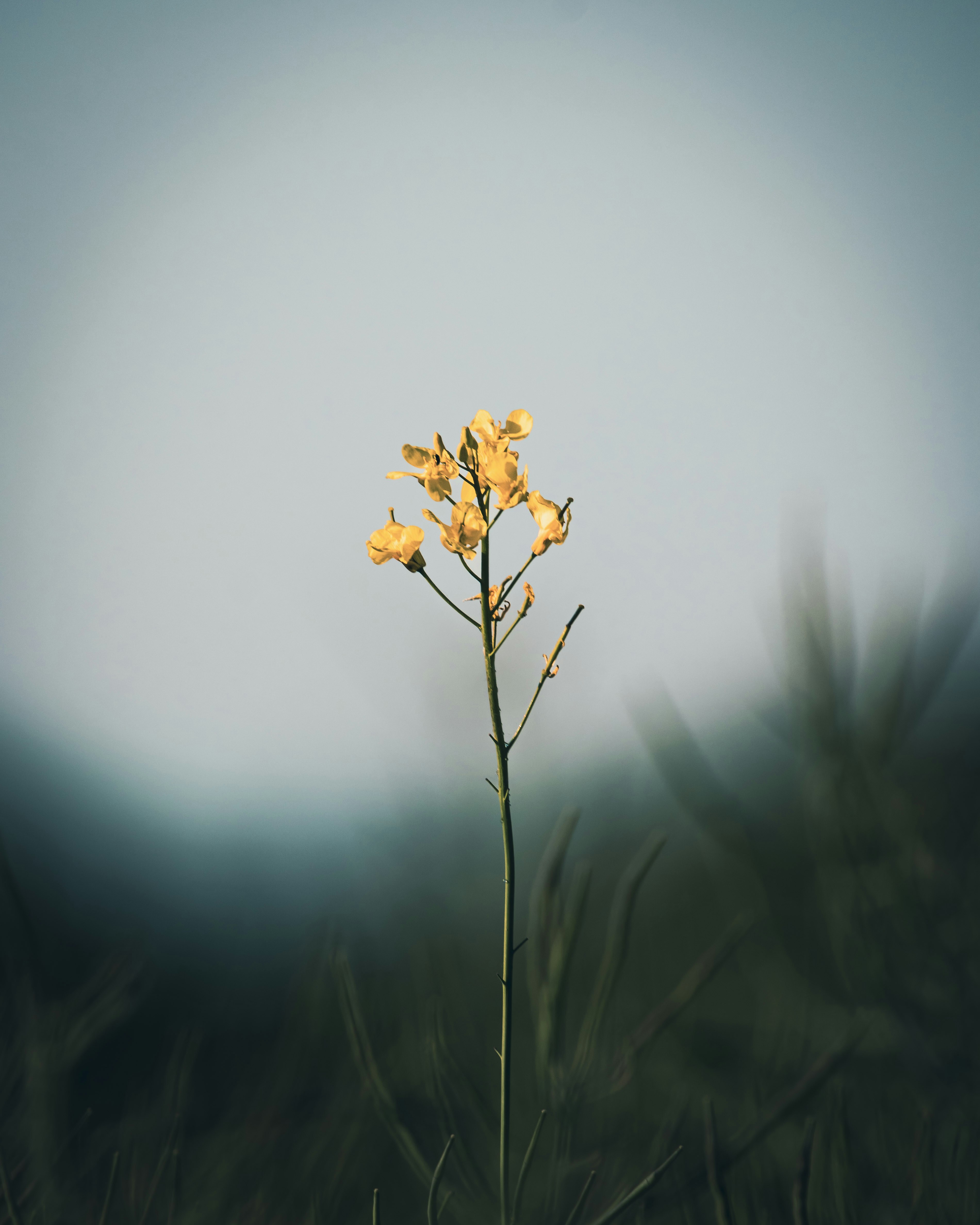 Photo by Damian Karpiński with Canon EOS M50 Mark II