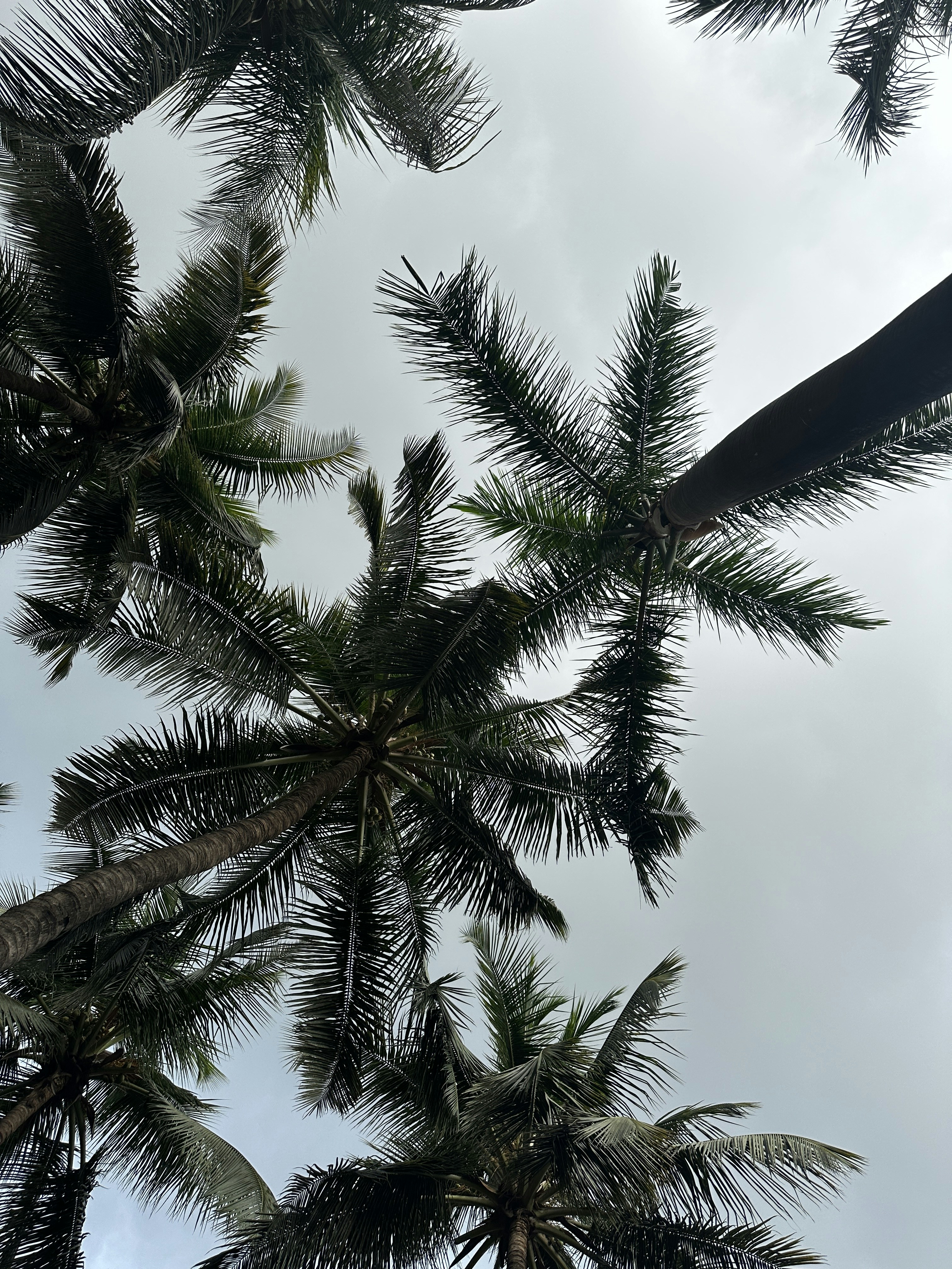 Parth Patel (@domenic_93) | Unsplash Photo Community