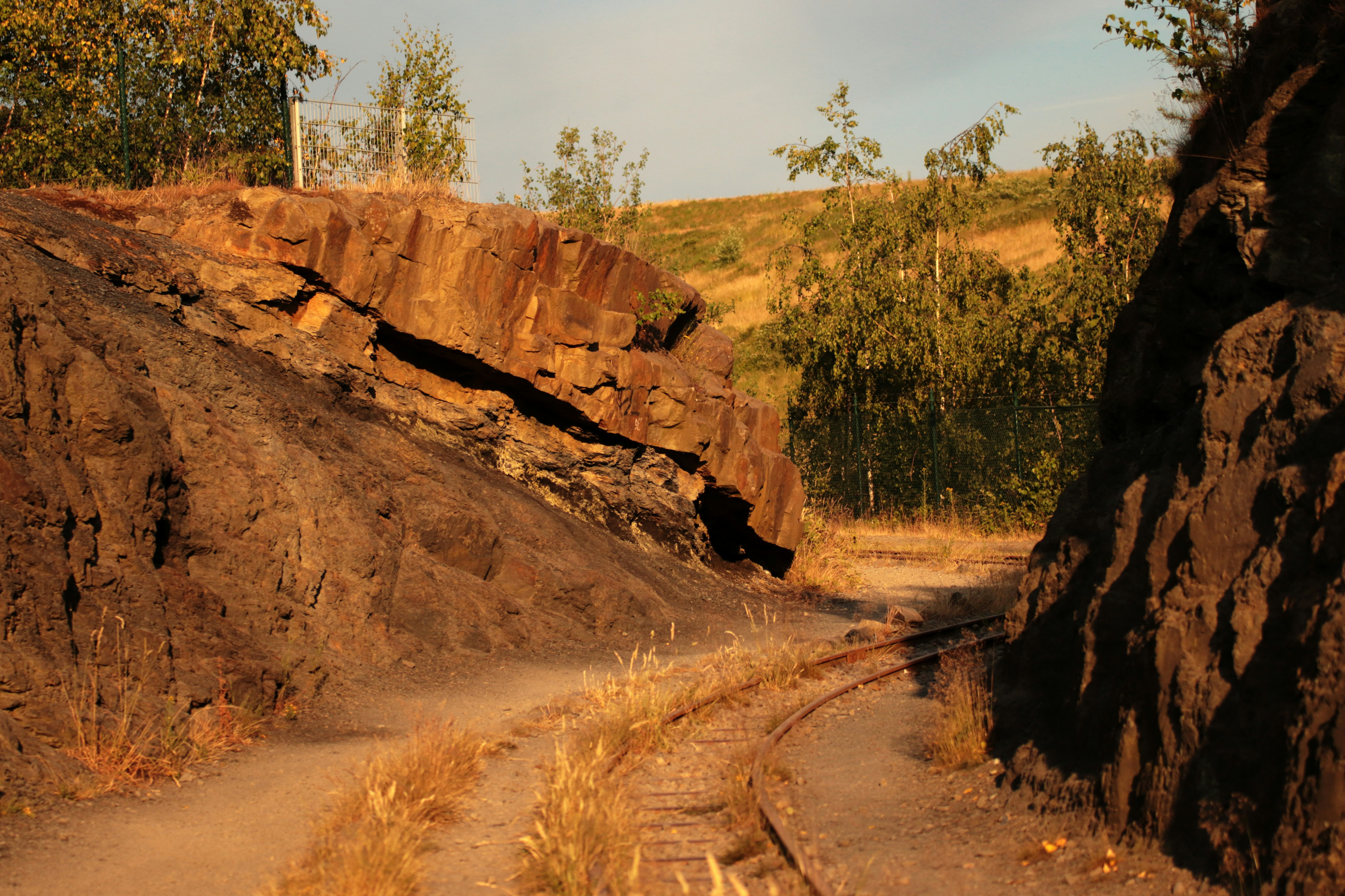 Photo by Lars Portjanow with Canon EOS 250D