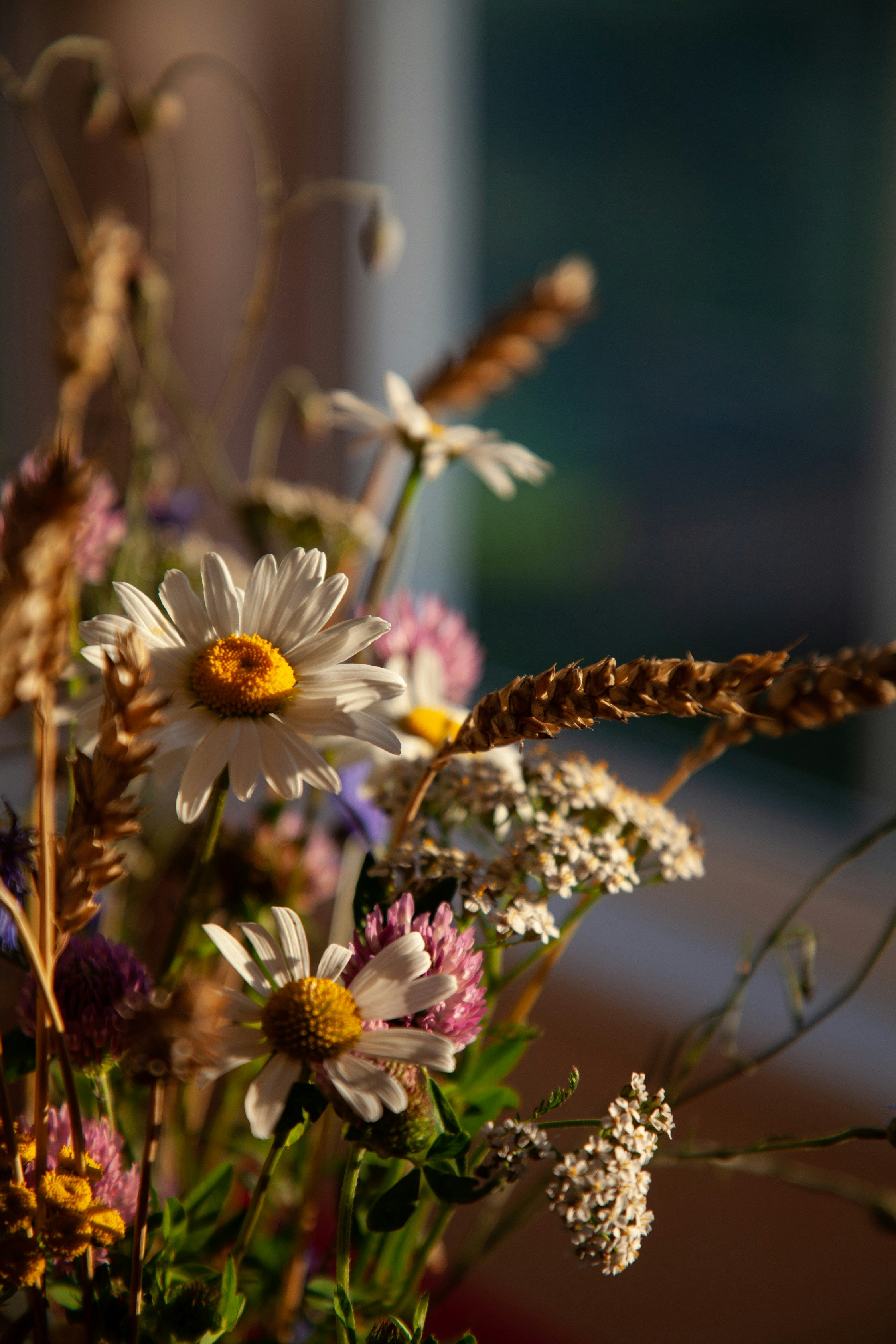 Photo by Skirmante C with Canon EOS 5D Mark II