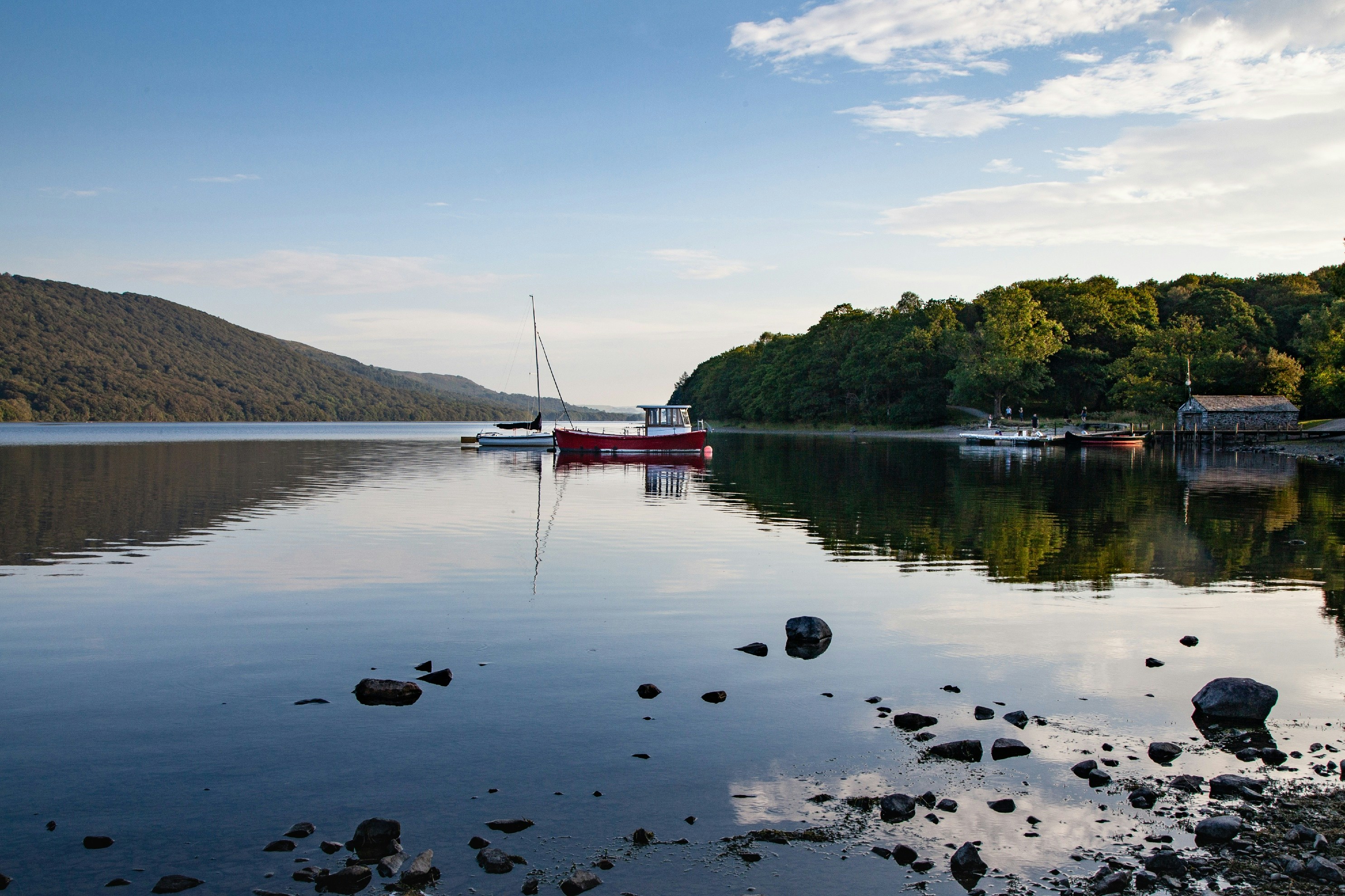 Creative Commons Pictures | Download Free Images on Unsplash