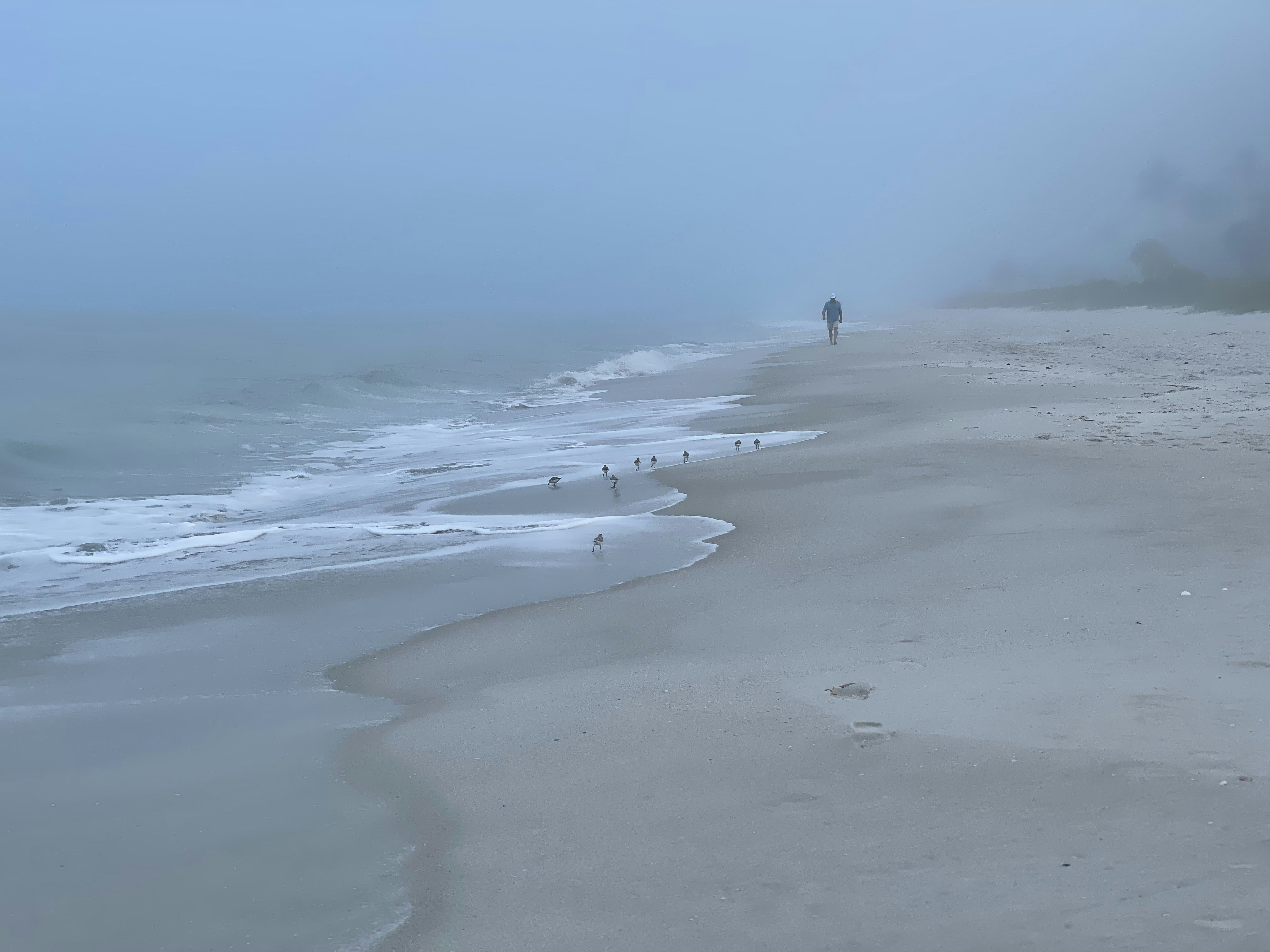 A person standing on a beach next to the ocean photo – Free Via miramar ...