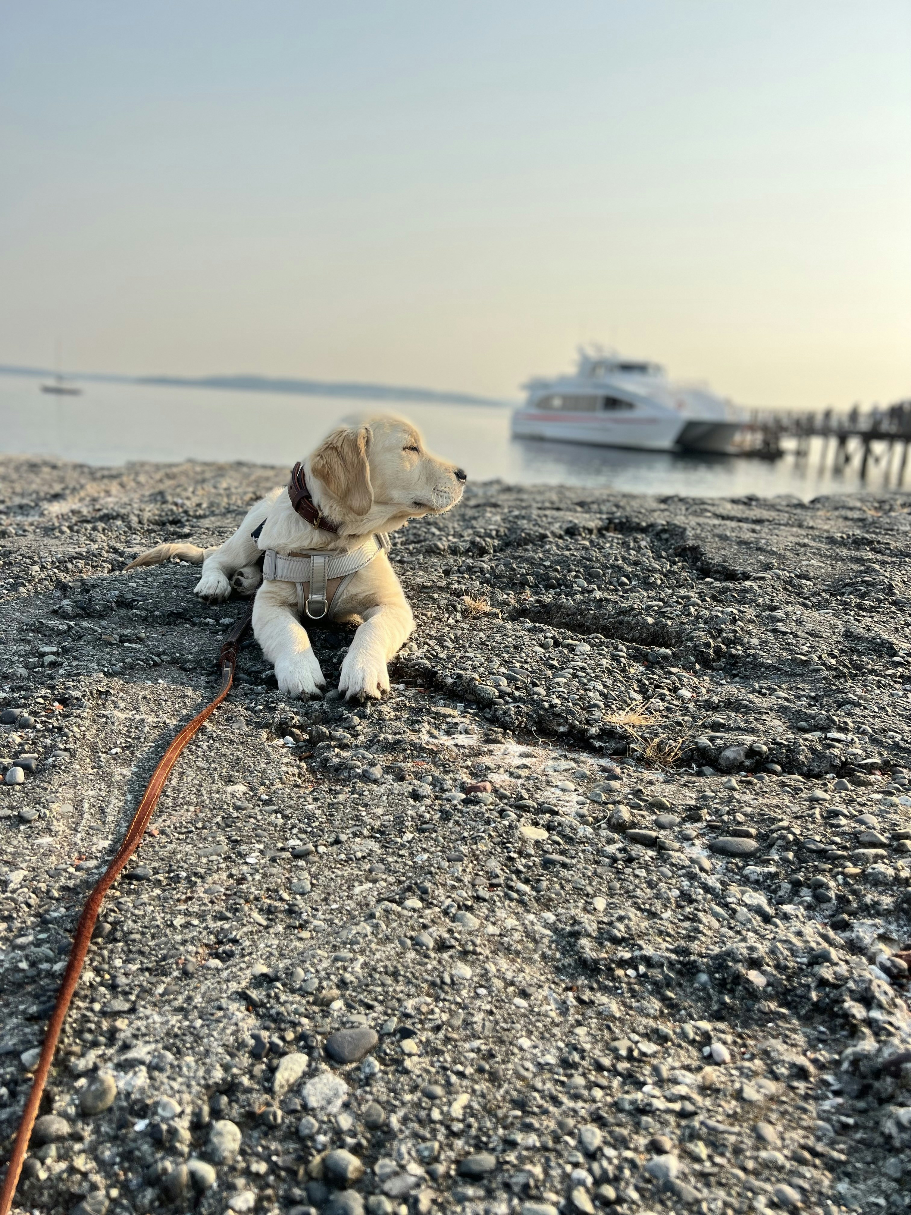 Photo by Courtney Casillo with Apple iPhone 13 Pro Max