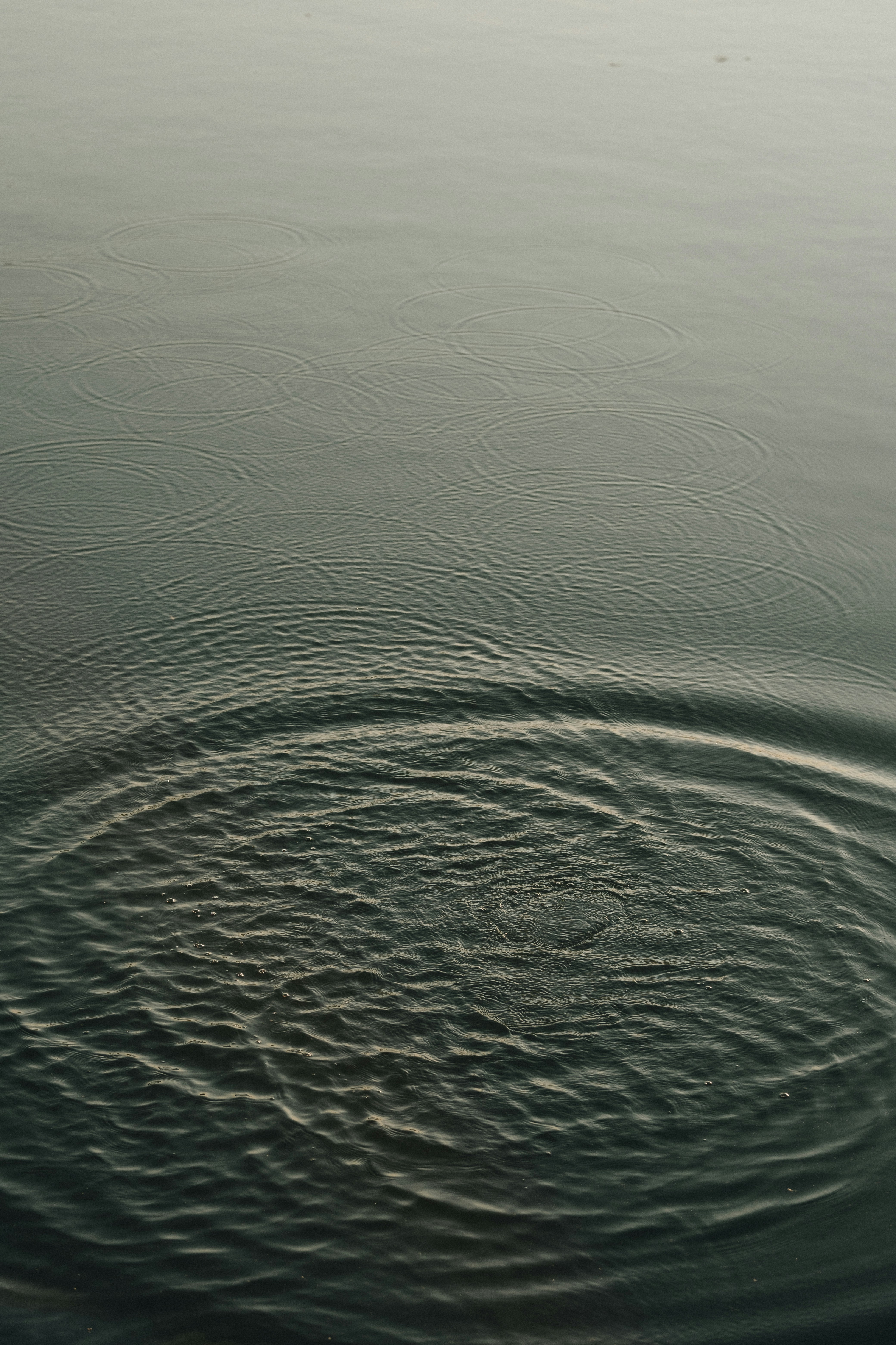 A large body of water with ripples in it photo – Free Nature Image on ...