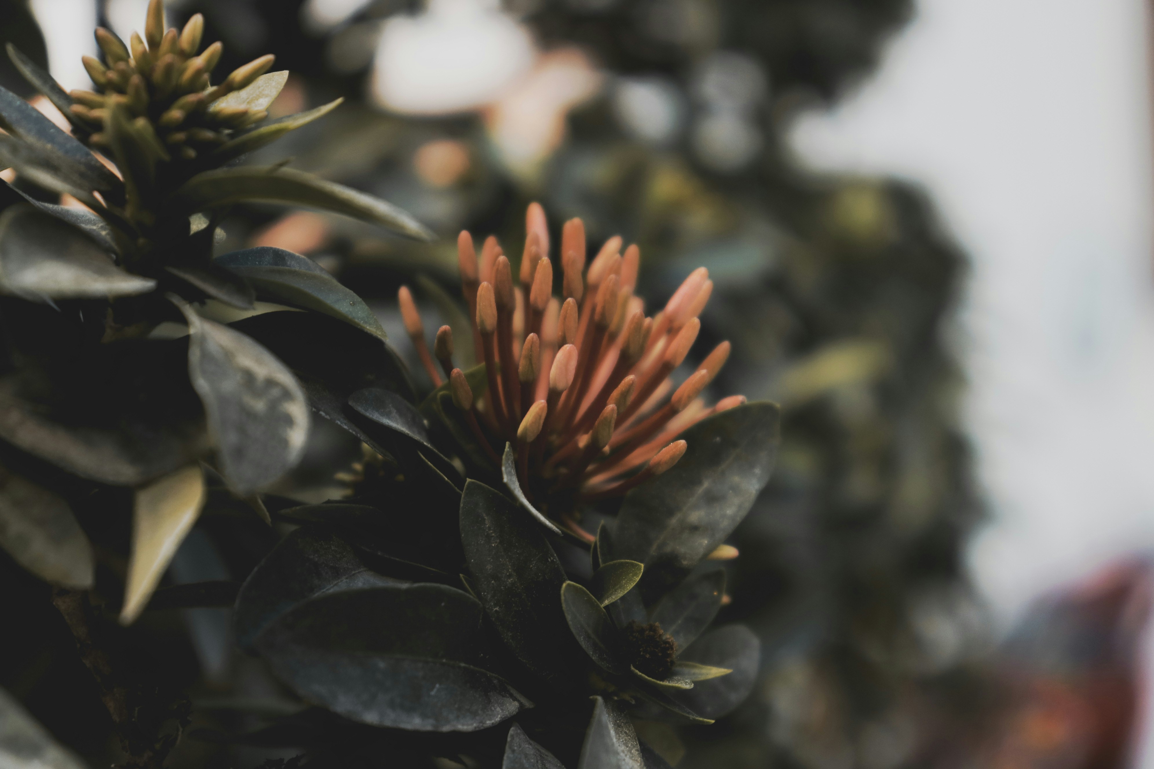 Photo by Tran Phu with Canon EOS 750D