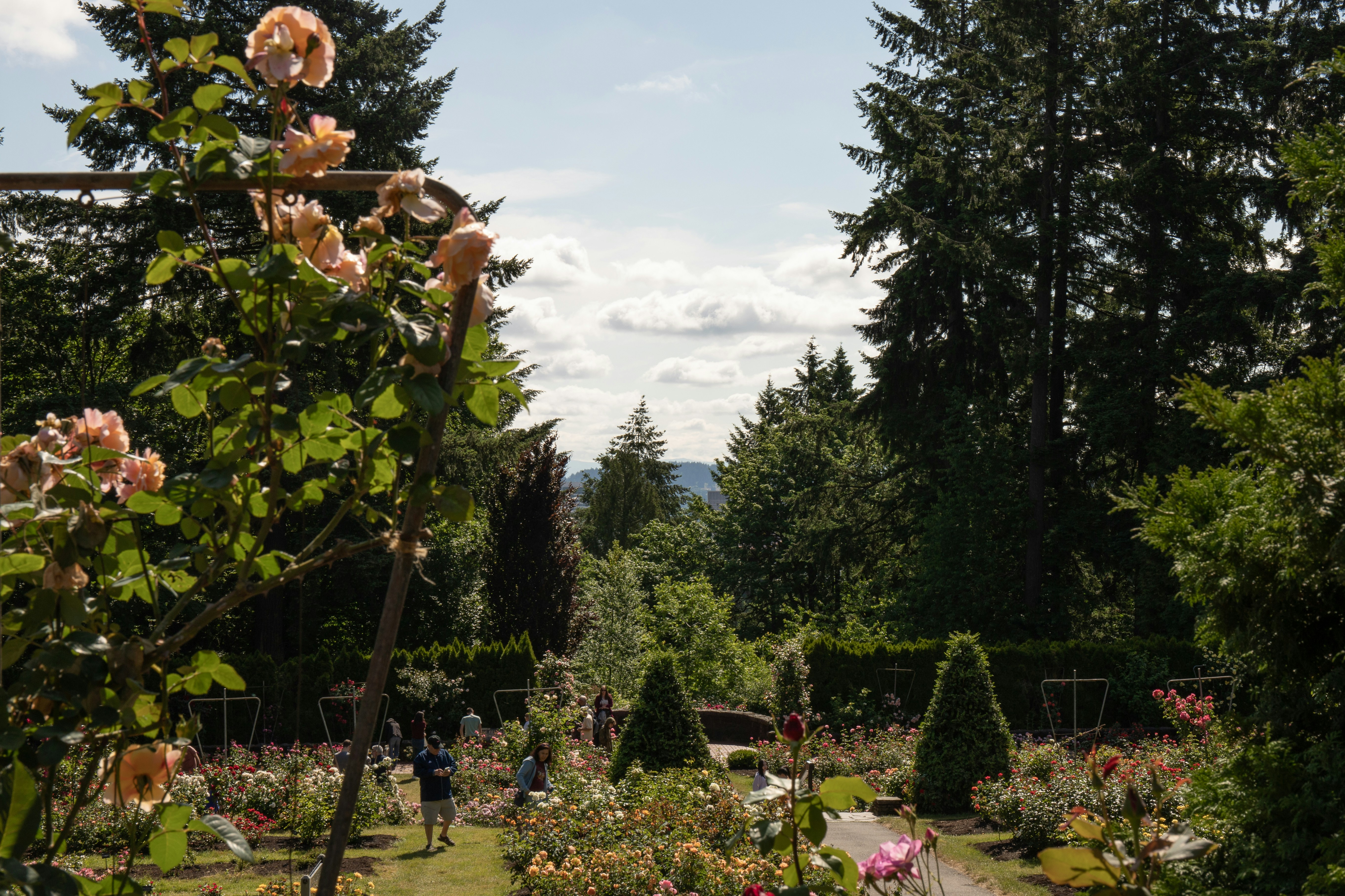 Photo by Mason Stallmo with Canon EOS 6D Mark II