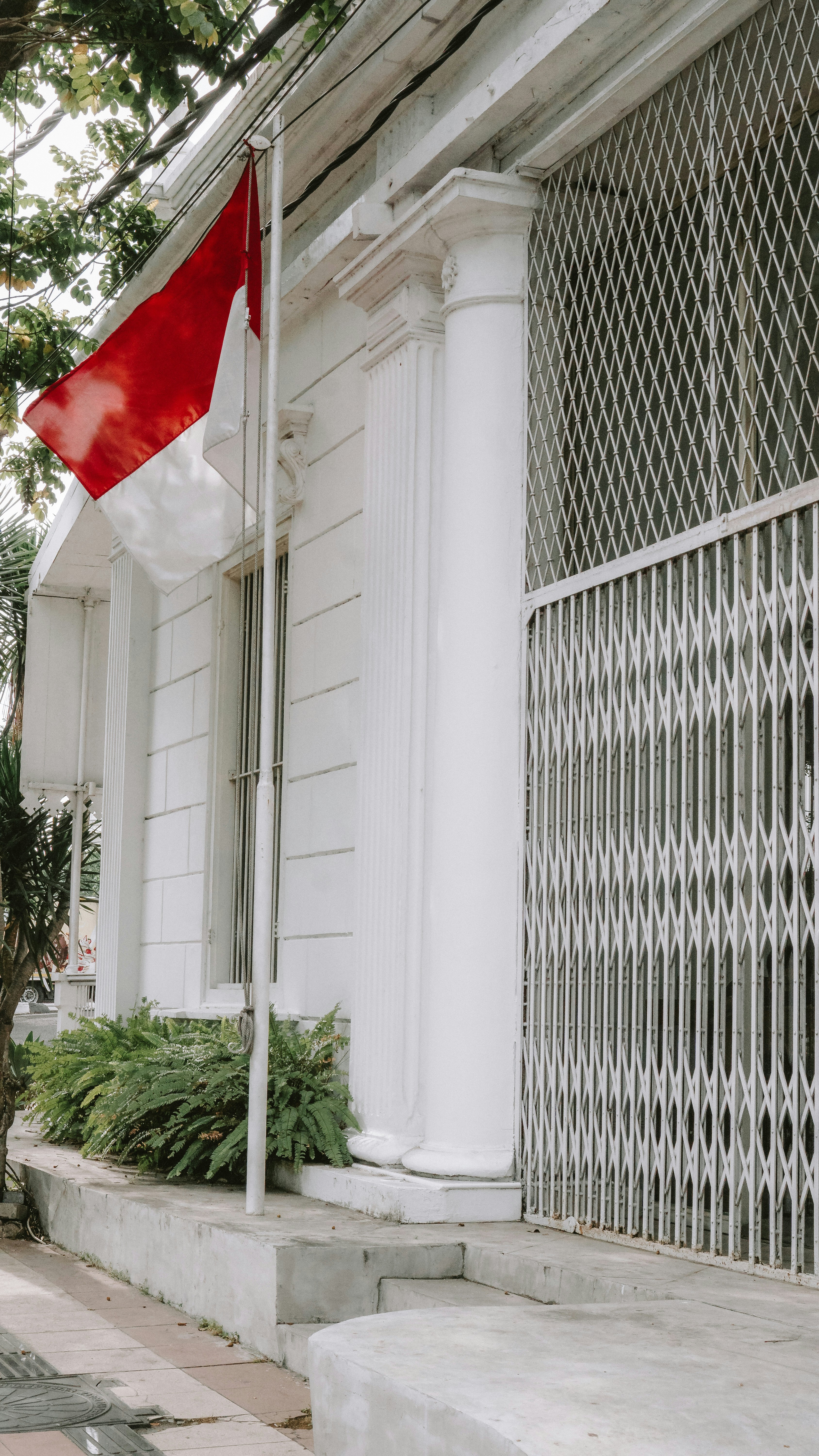 Flag at the Threshold of a Neoclassical Facade