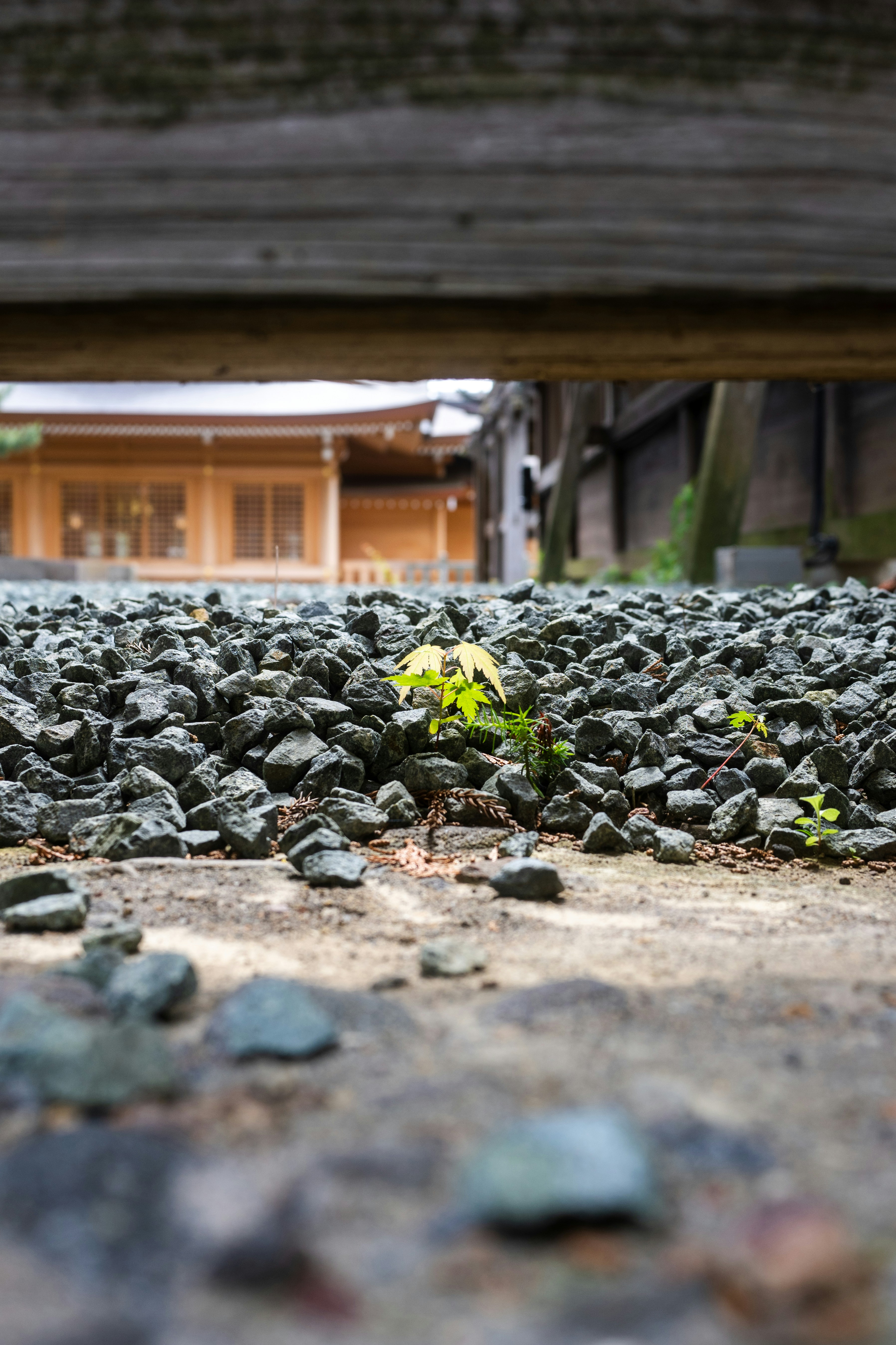 Un montón de rocas que yacen en el suelo foto – Imagen de Ciudad ...