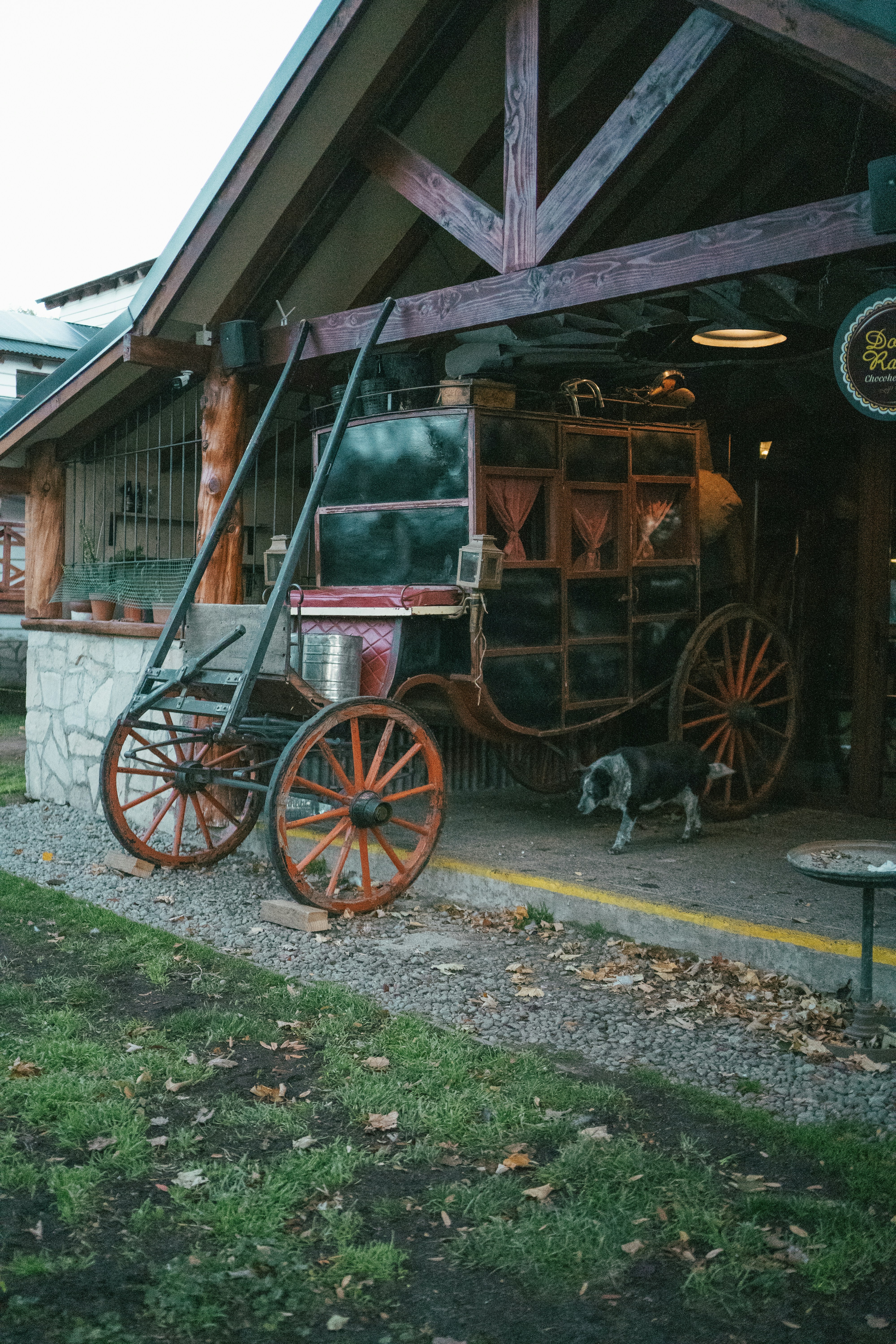 Photo by Lucas Todeschini with Sony Alpha 7 III