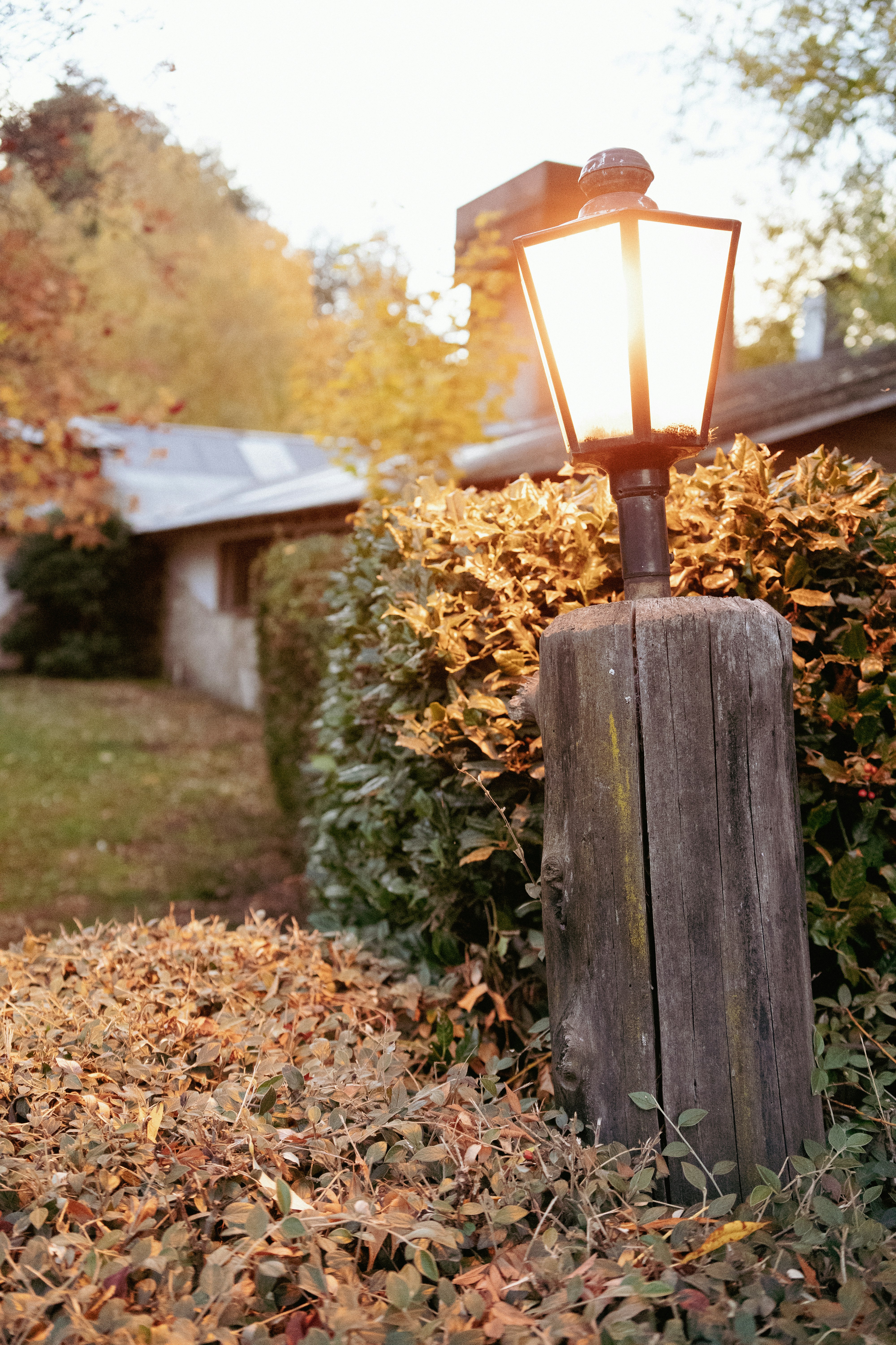 Lantern in the Leaves: Autumn Glow Beneath a Gentle Flame