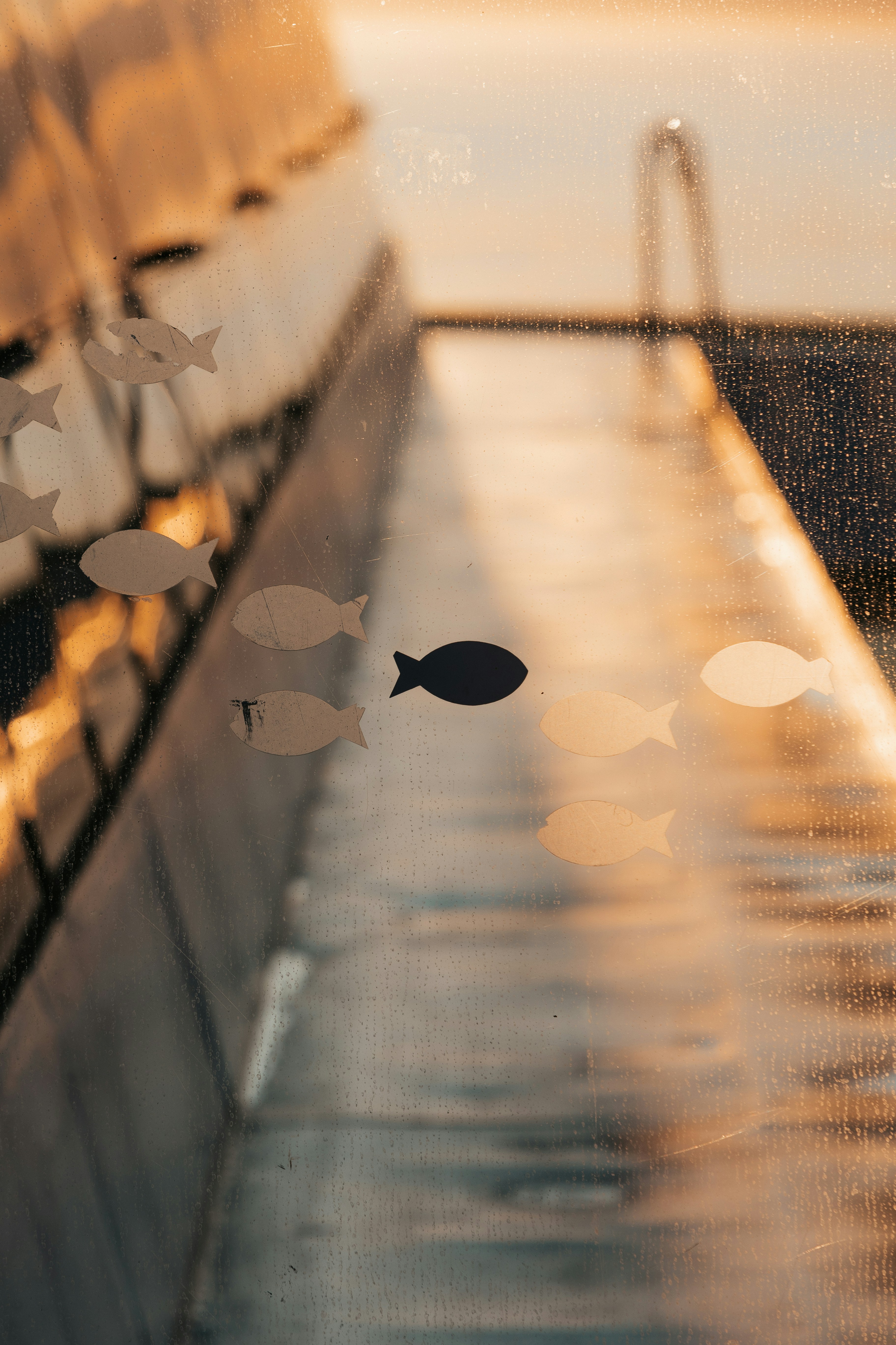 Photo by Andrew varnum with Canon EOS R6