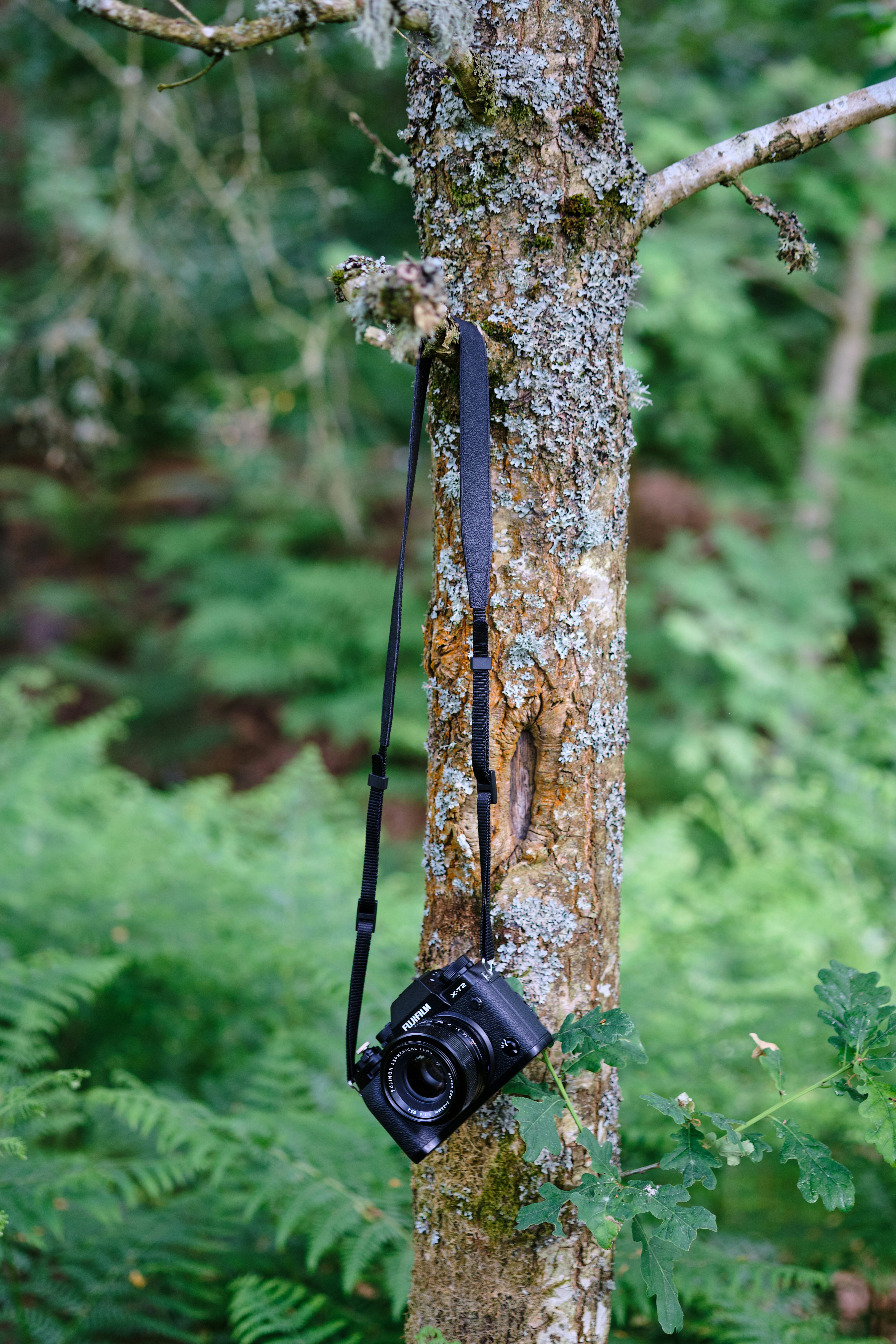 Dangling in the Green: A Forest Portrait with a Fujifilm X-H1