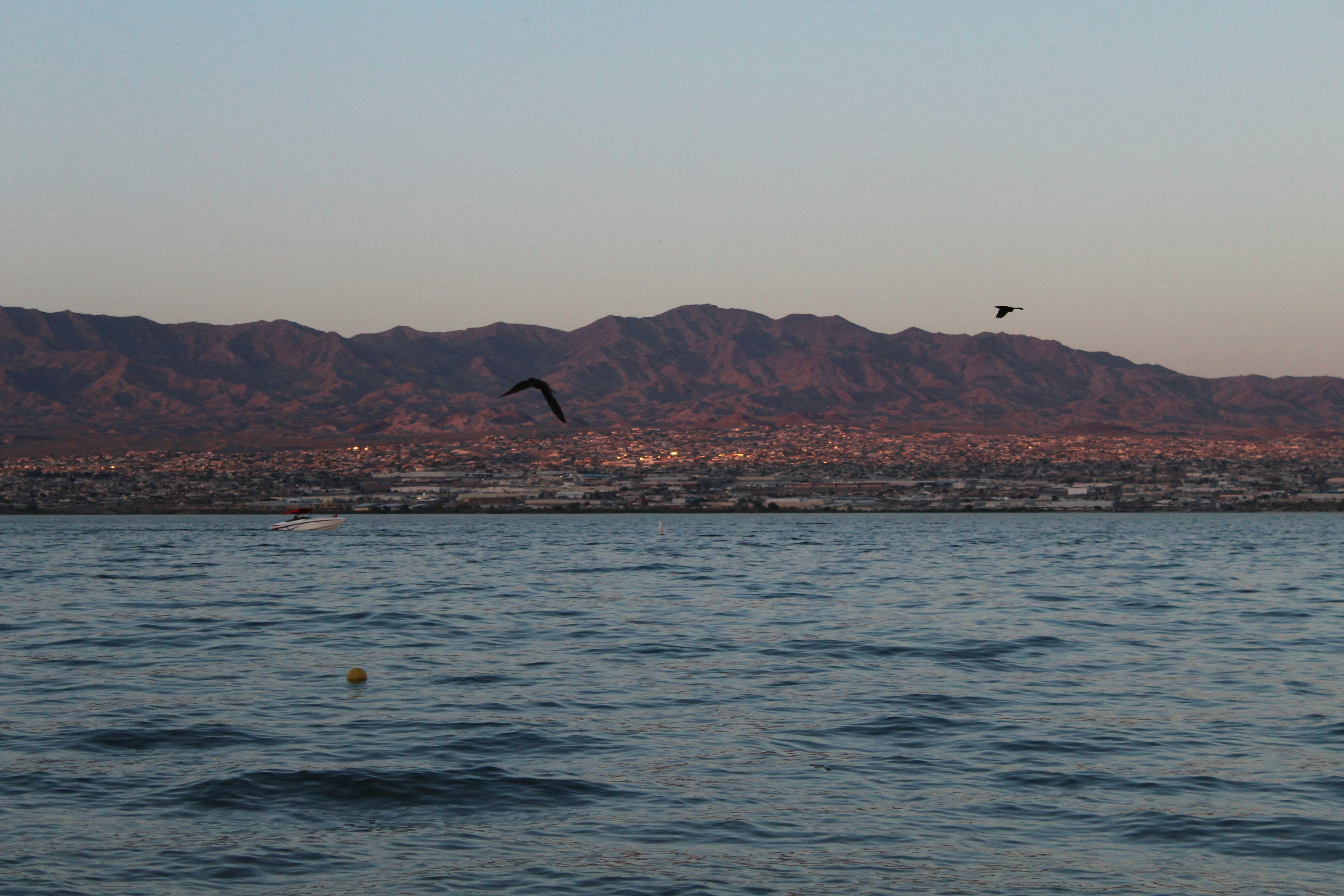 Two Birds Over a Tranquil Sea Against a Mountain Horizon