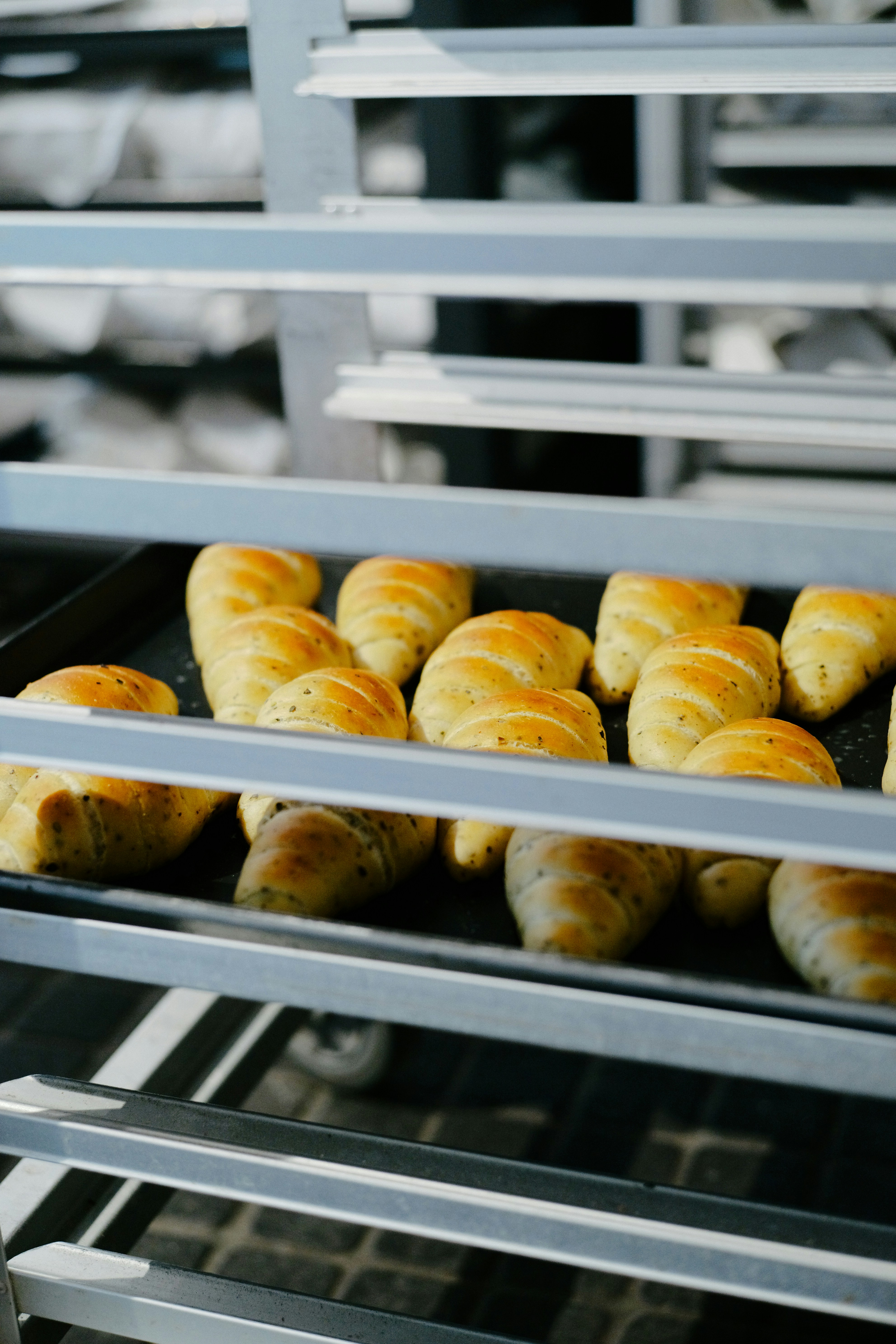 Golden Crescents Between Stainless Rails