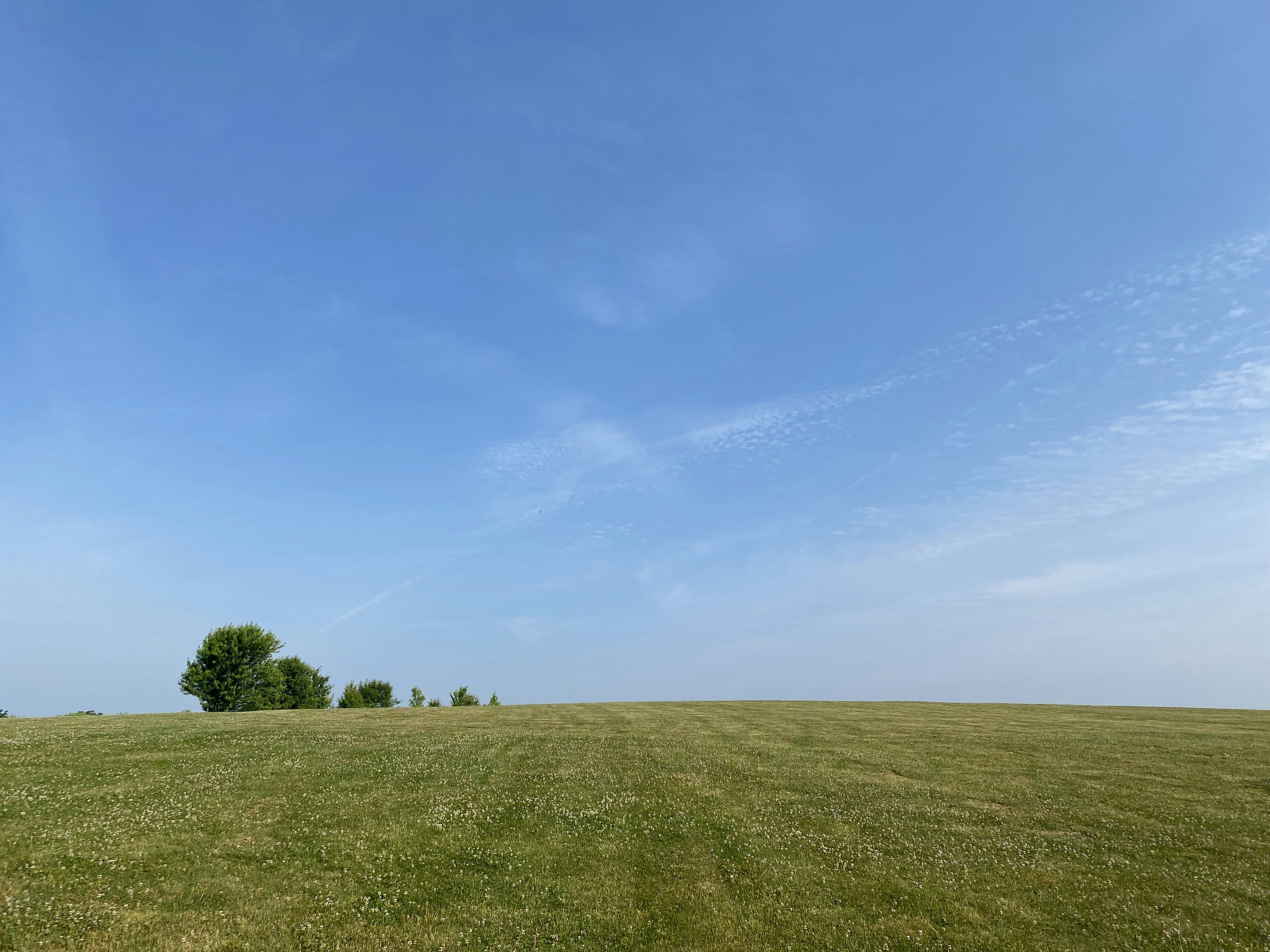 A large grassy field with trees in the distance photo – Free United ...