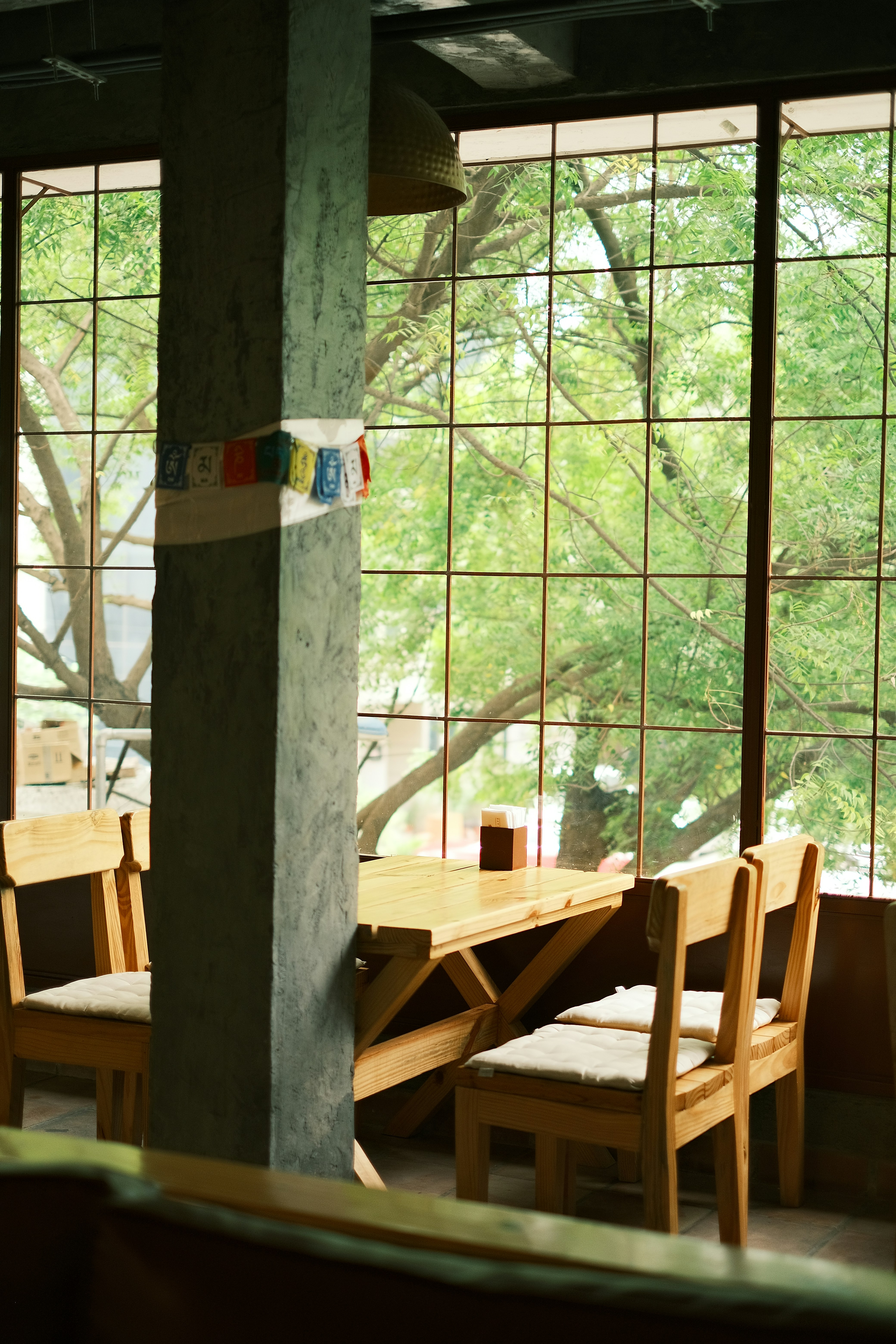 Gridlight Café: Sunlit Interior Framed by Window Grids and Greenery