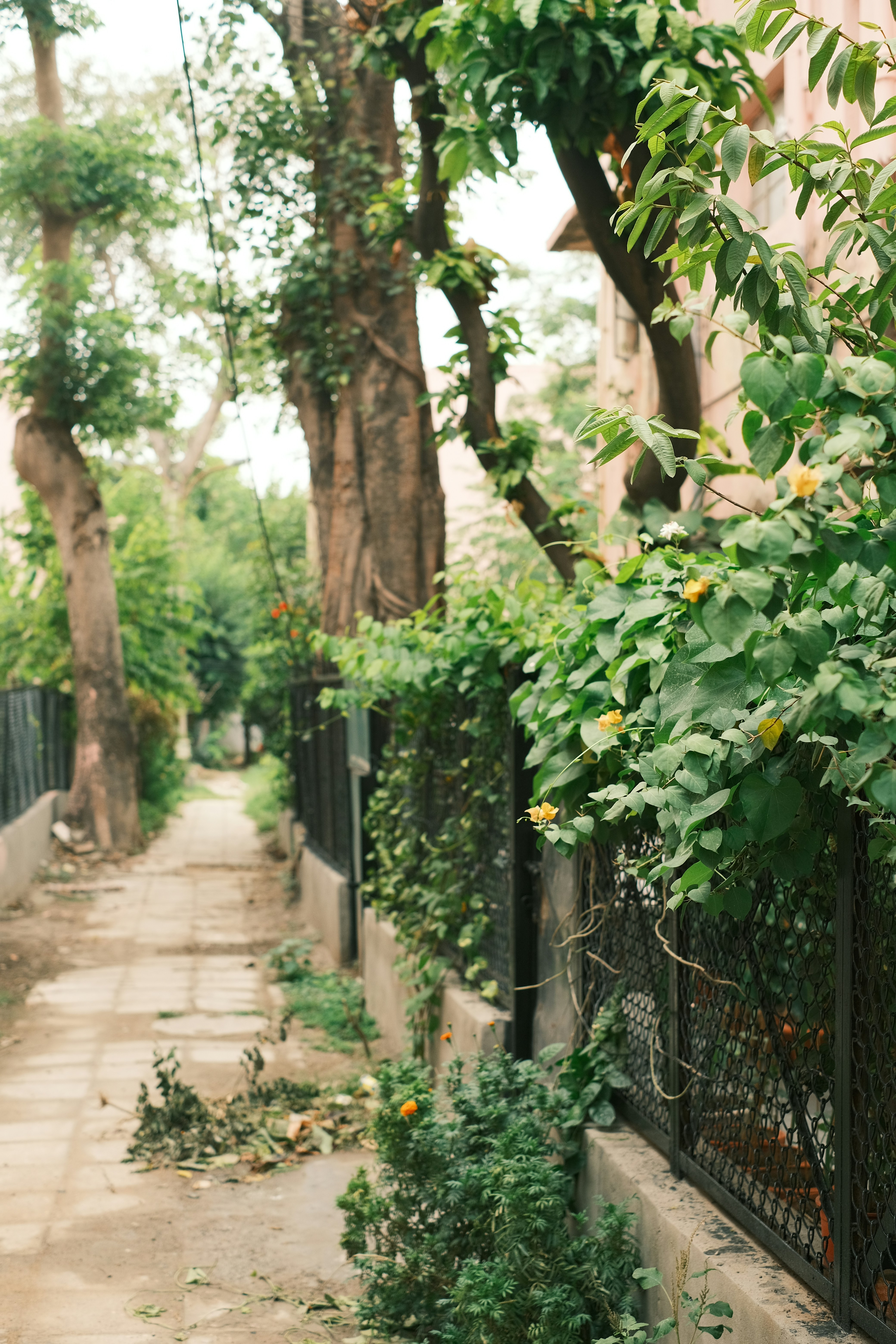 Photo by Sehajpal Singh with Fujifilm X-T4