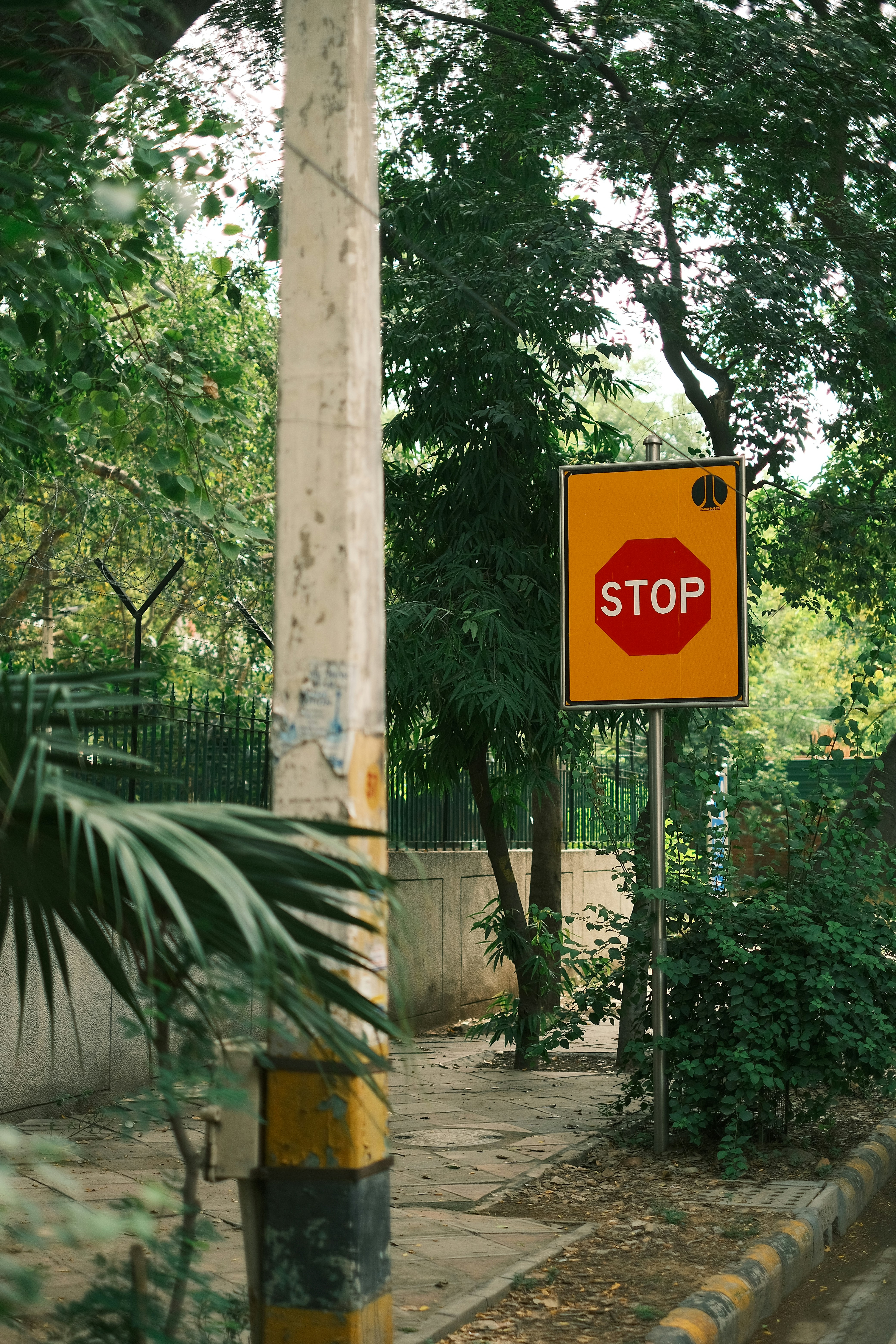 Yellow Stop Sign Framed by Urban Canopy on a Quiet Walkway
