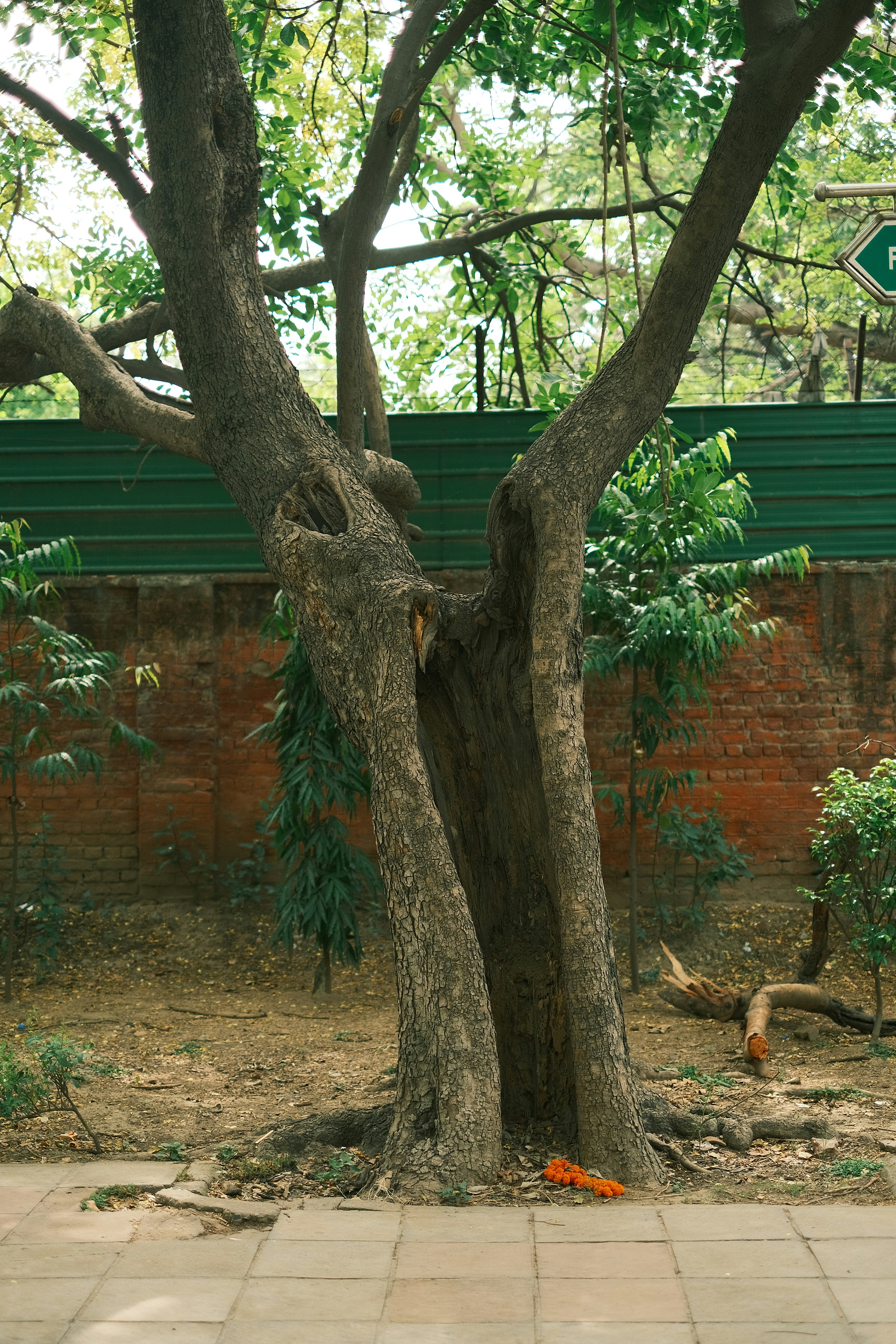 Photo by Sehajpal Singh with Fujifilm X-T4