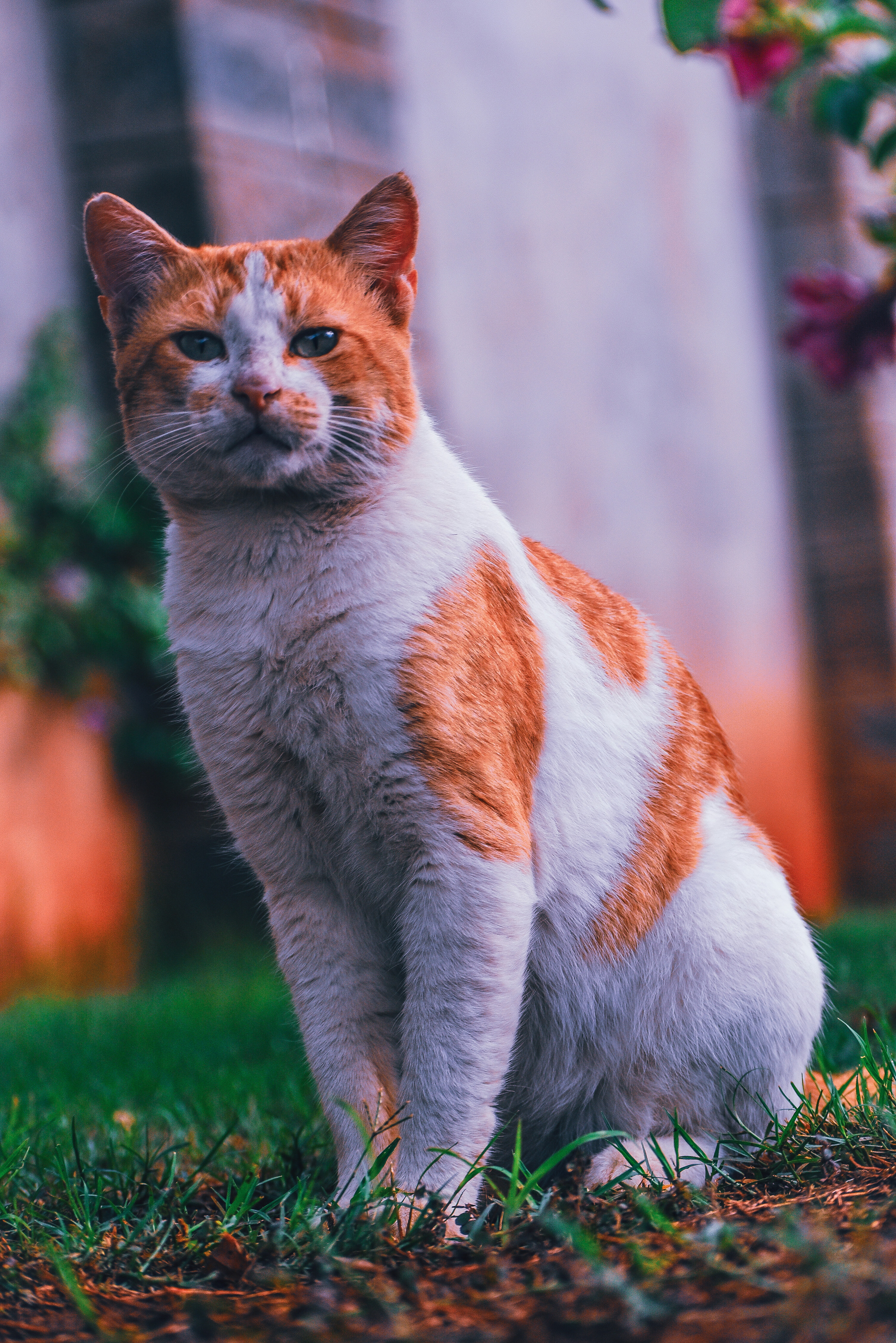 Photo by Xavier Cee with Nikon D5500