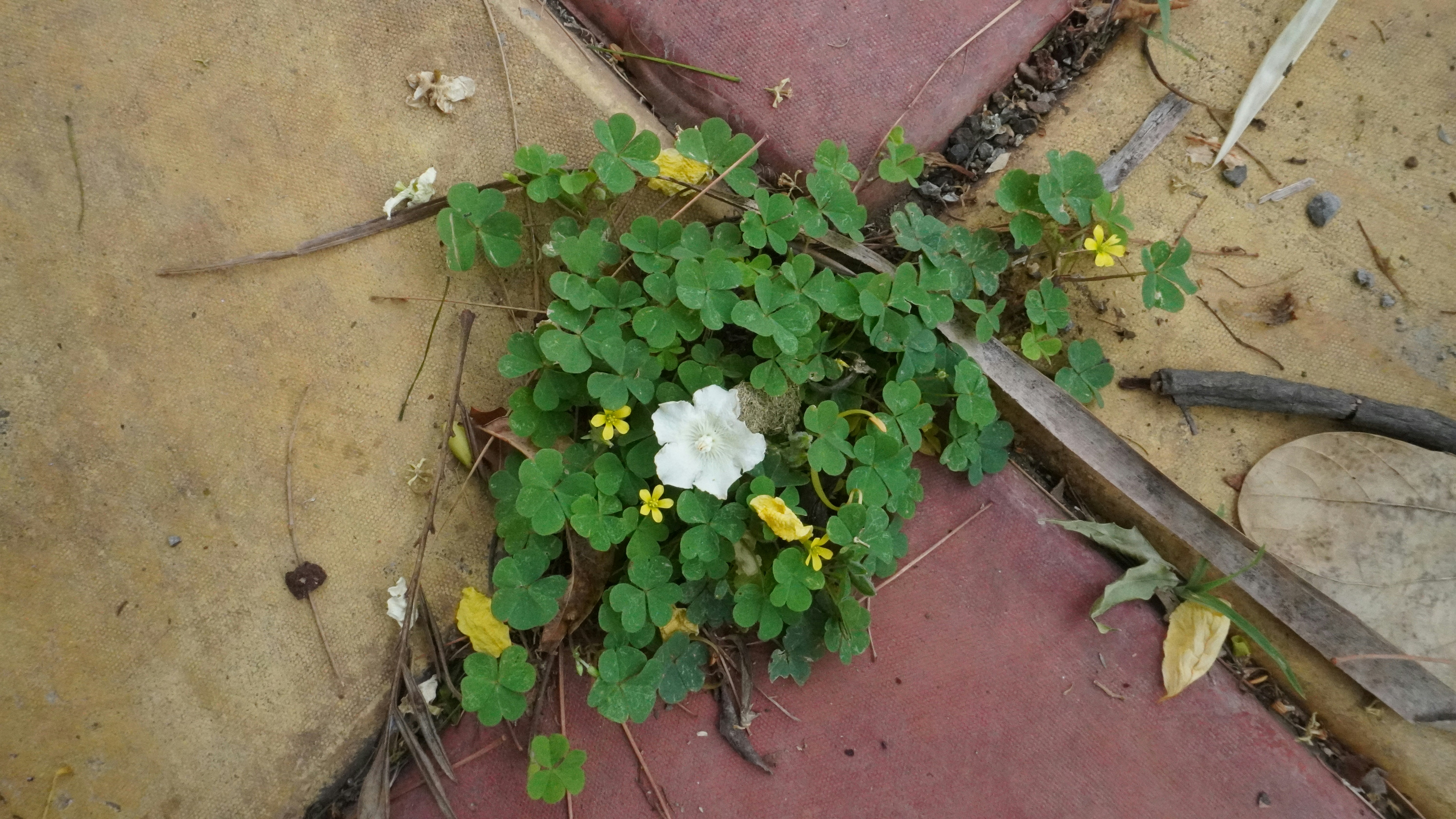 Photo by Abhishek Kaginkar with Sony Alpha 6400