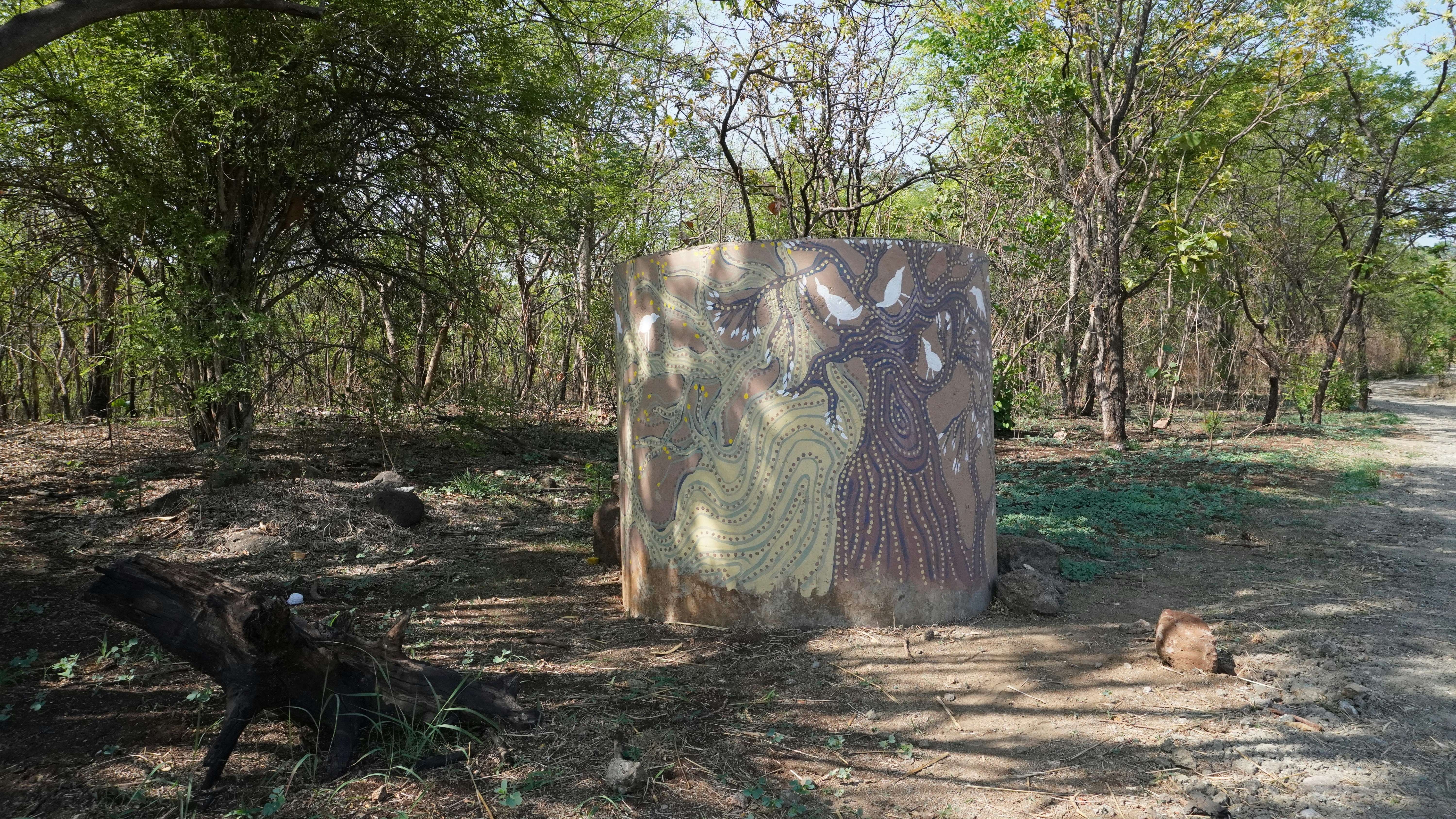 Sunlit Graffiti Cylinder: Colorful Portraits in a Quiet Woodland Clearing