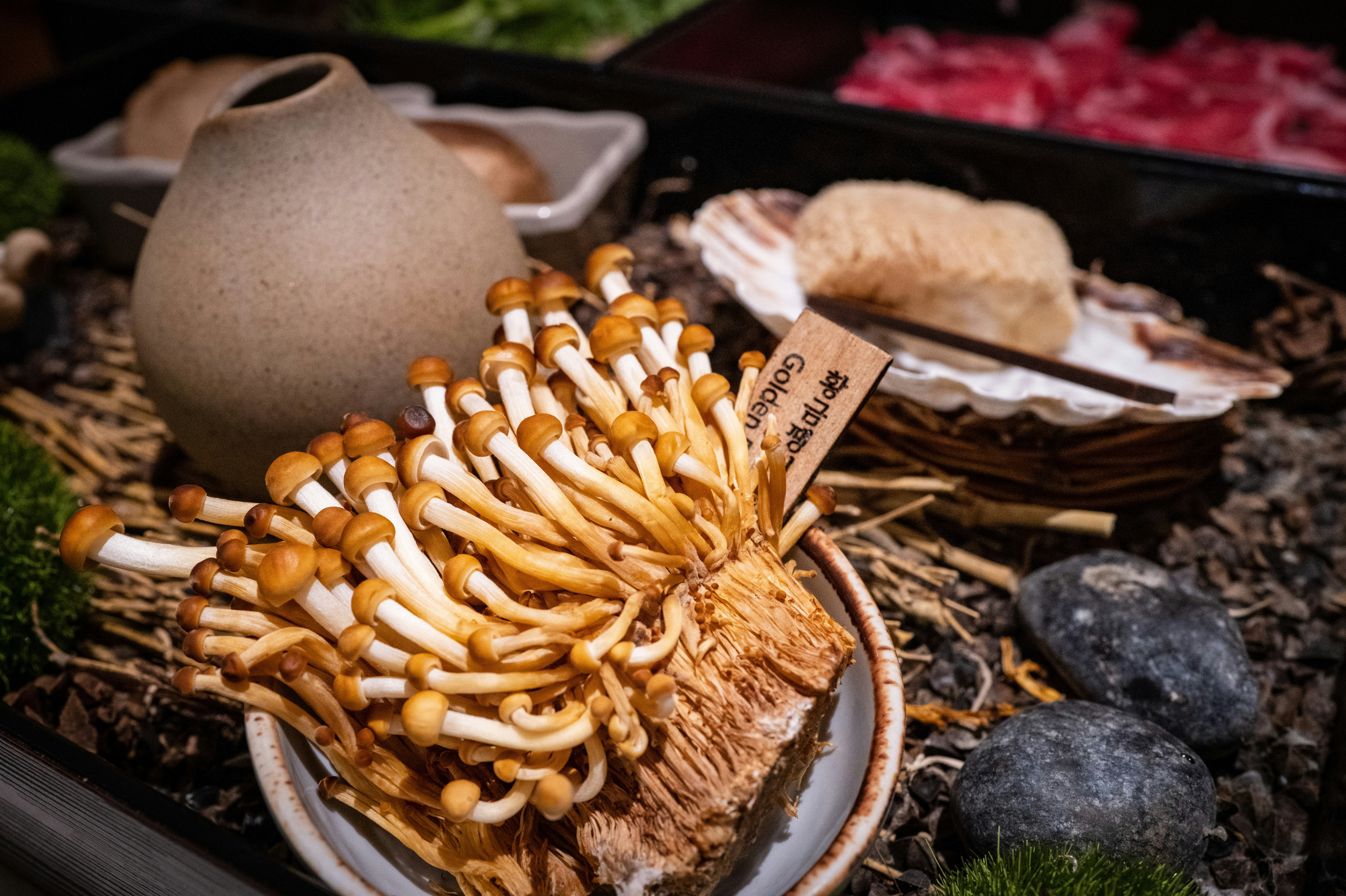 Mushroom Chorus on a Rustic Tray