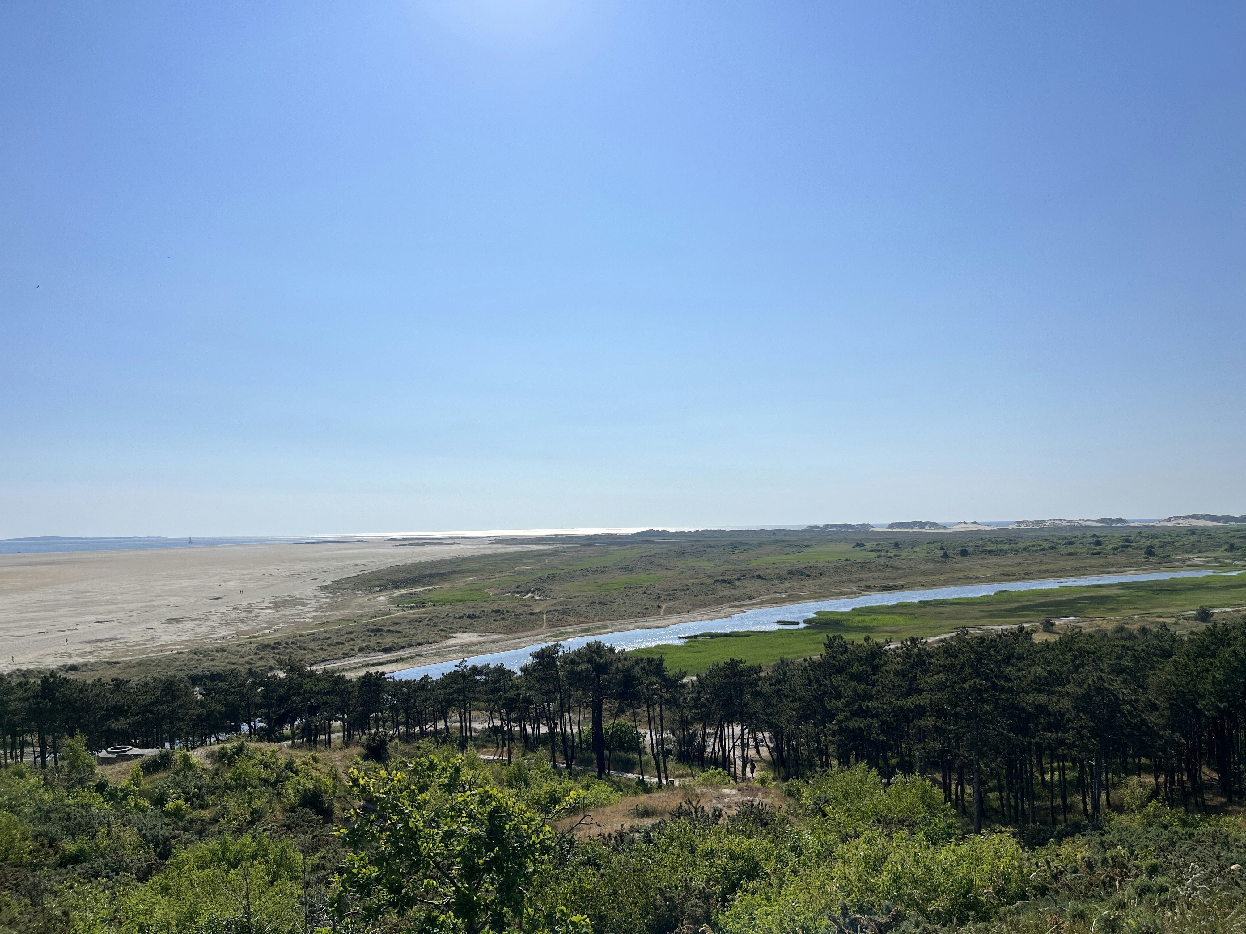 Tidal Ribbon at the Dune Edge: Quiet Confluence of Sea, Sand, and Pines