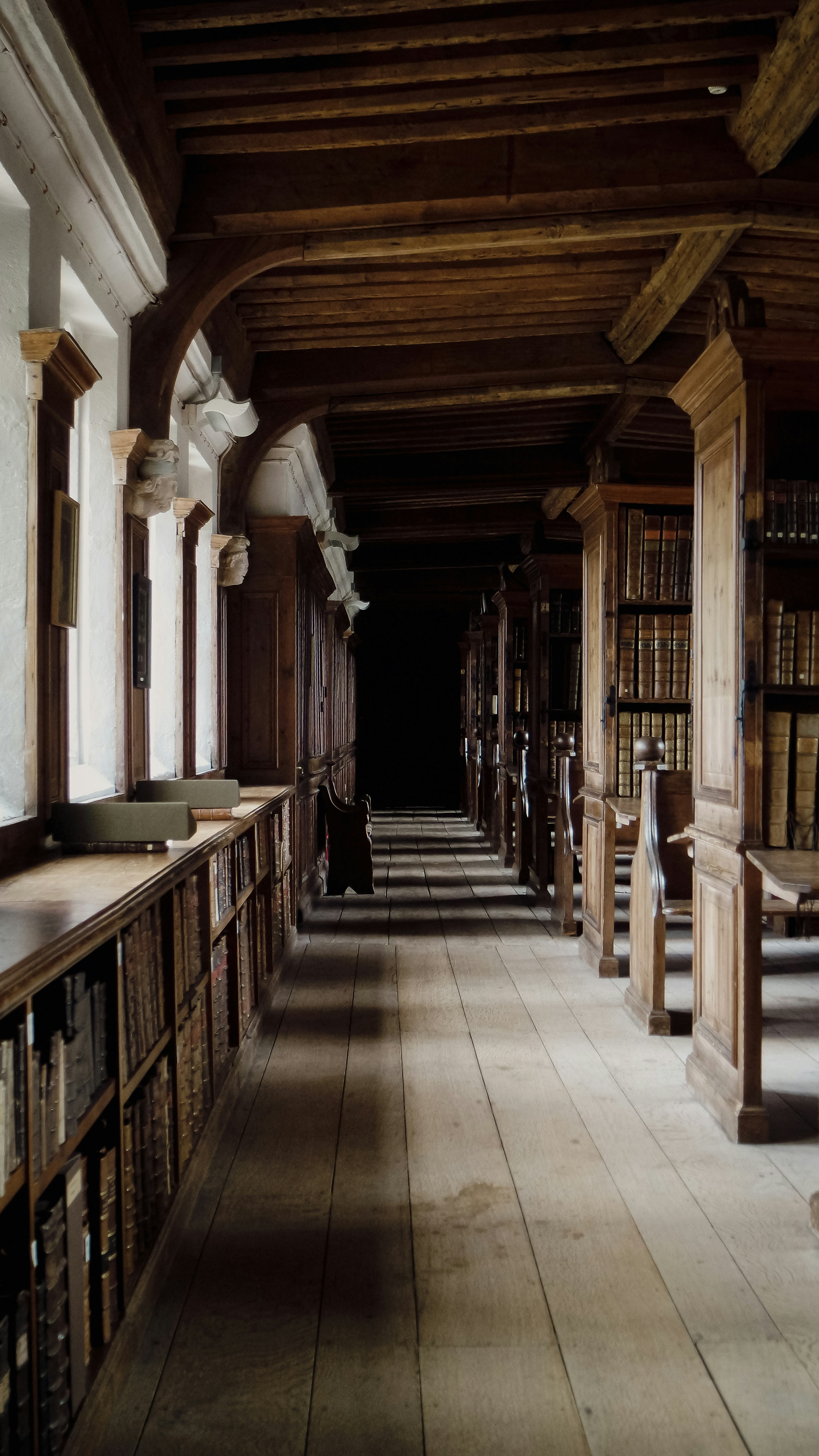 A long row of bookshelves in a library photo – Free Uk Image on Unsplash