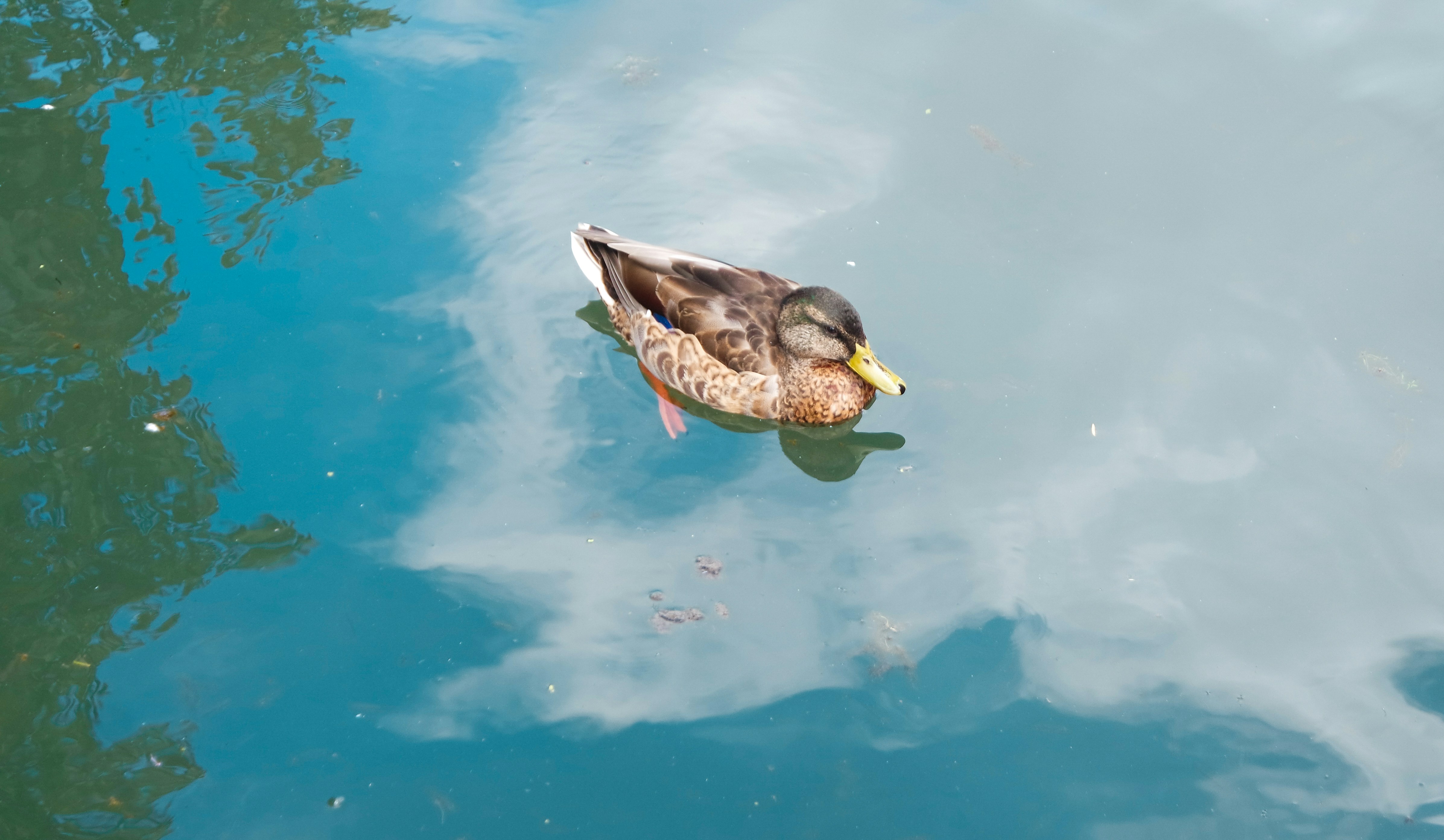 Photo by Amy W. with Samsung NX3000