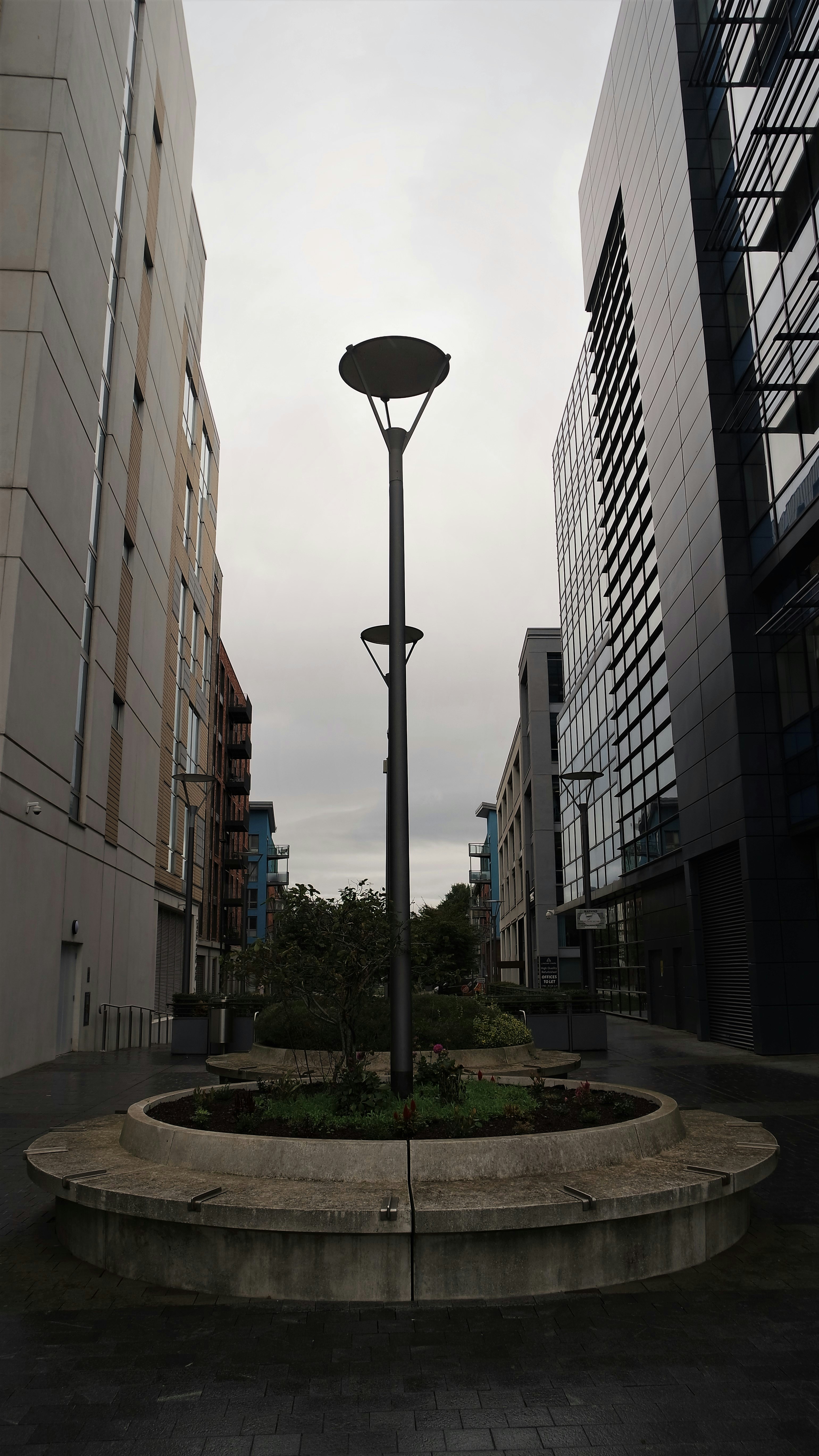 Axis of Light: Central Lamp Framed by Modern Towers