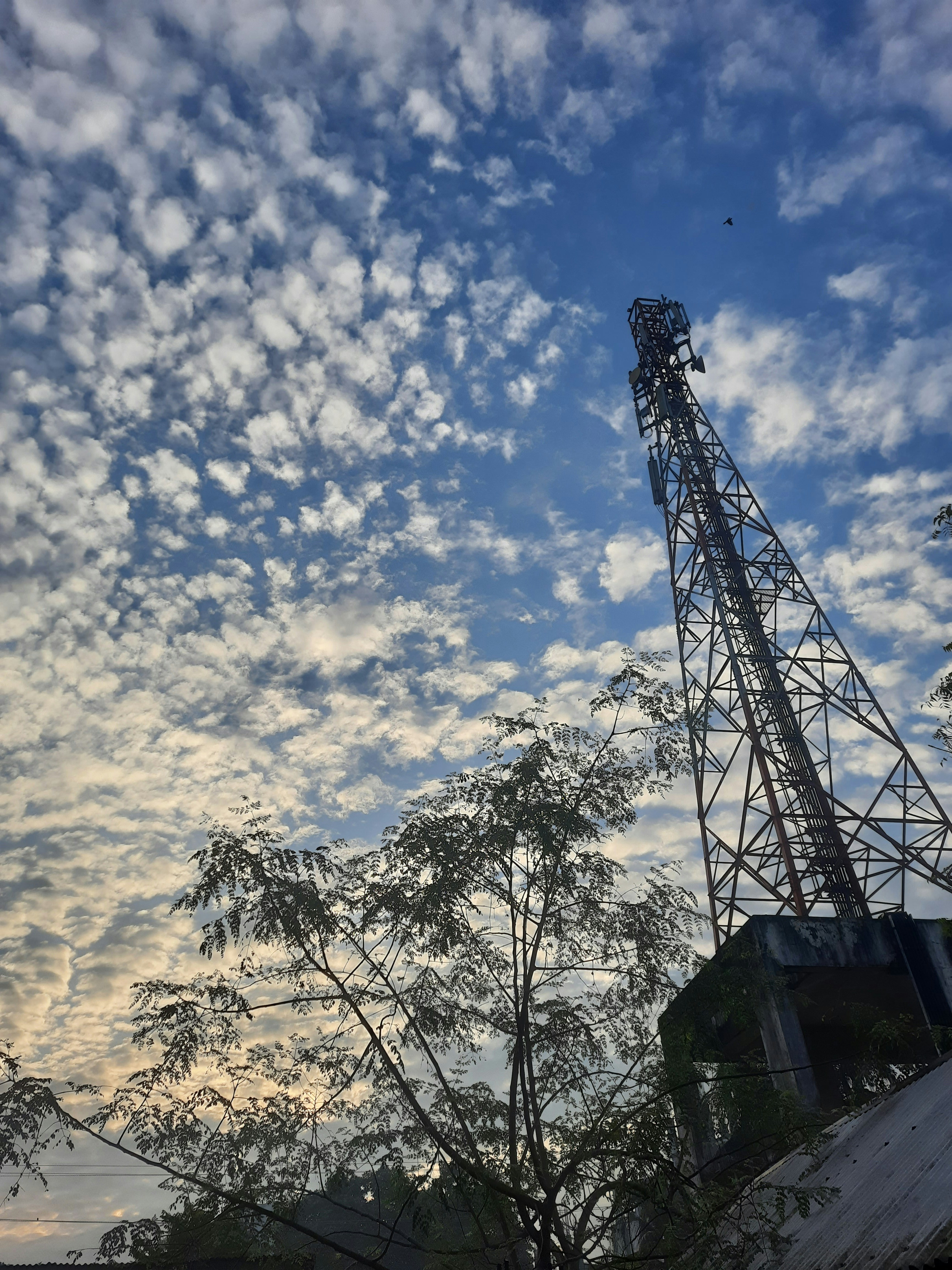 Rising Lattice: A Tower Silhouette Against a Clouded Sky