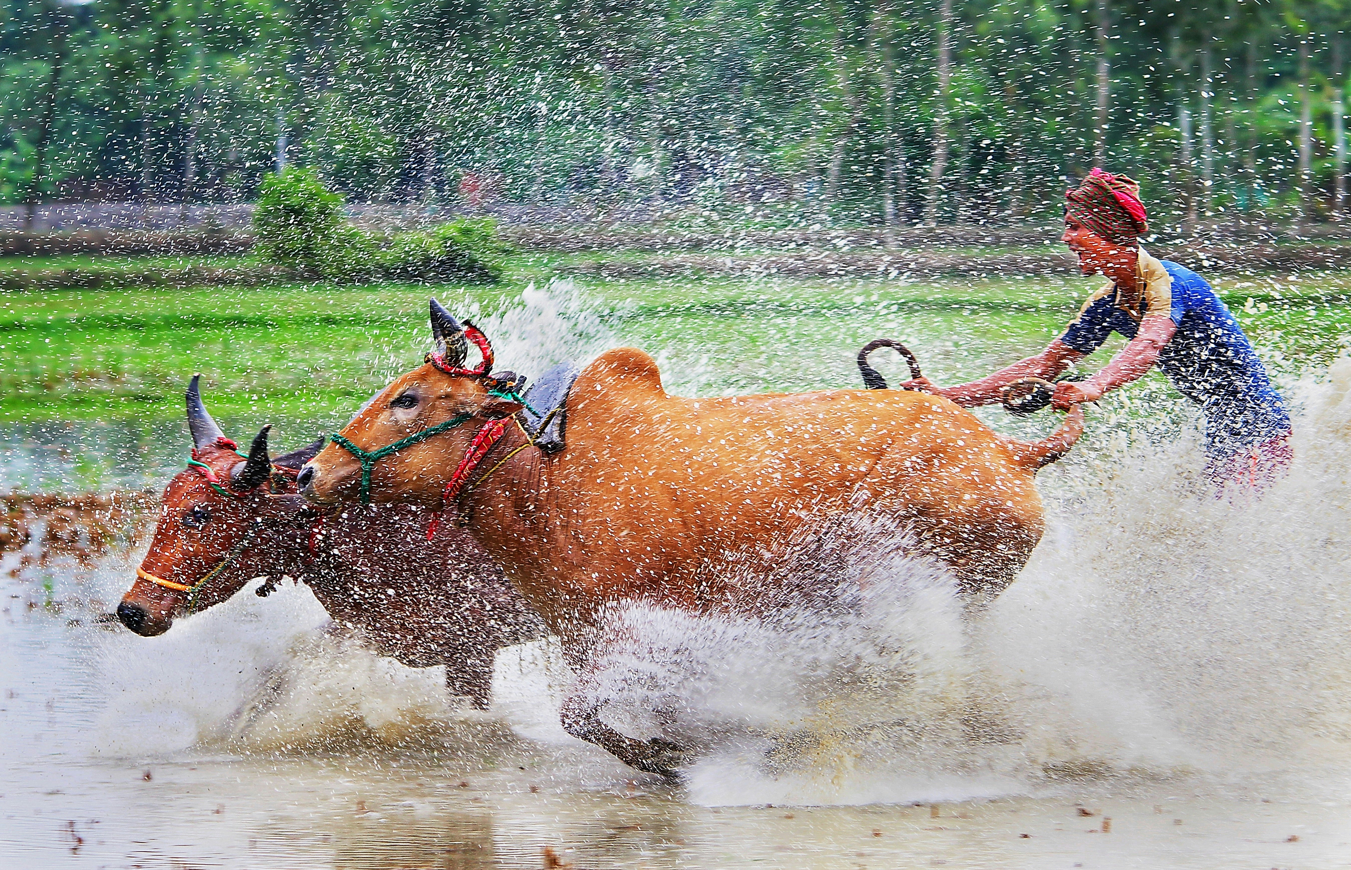 Photo by Dibakar Roy with Canon EOS 1200D