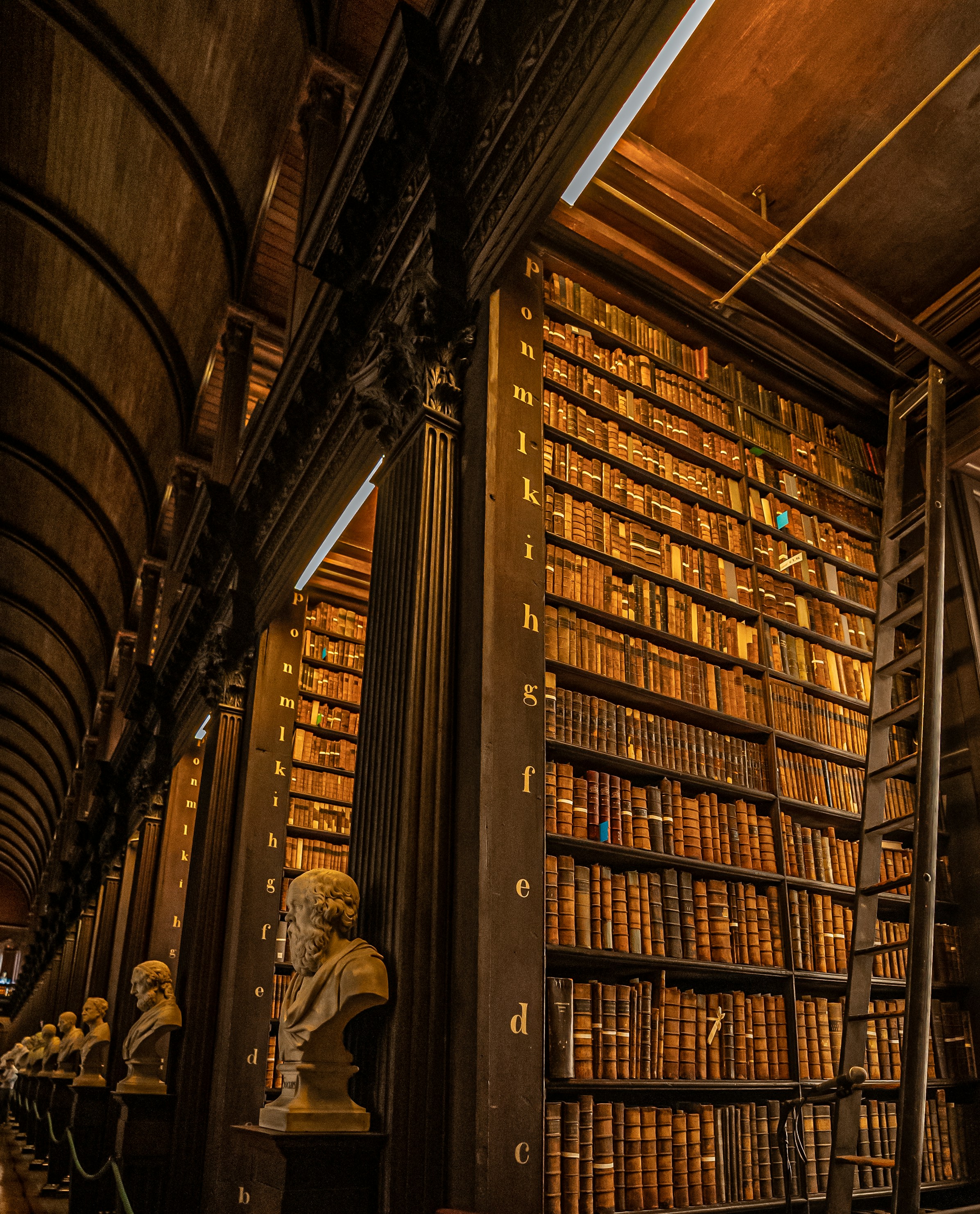 A library filled with lots of books and statues photo – Free Trinity ...