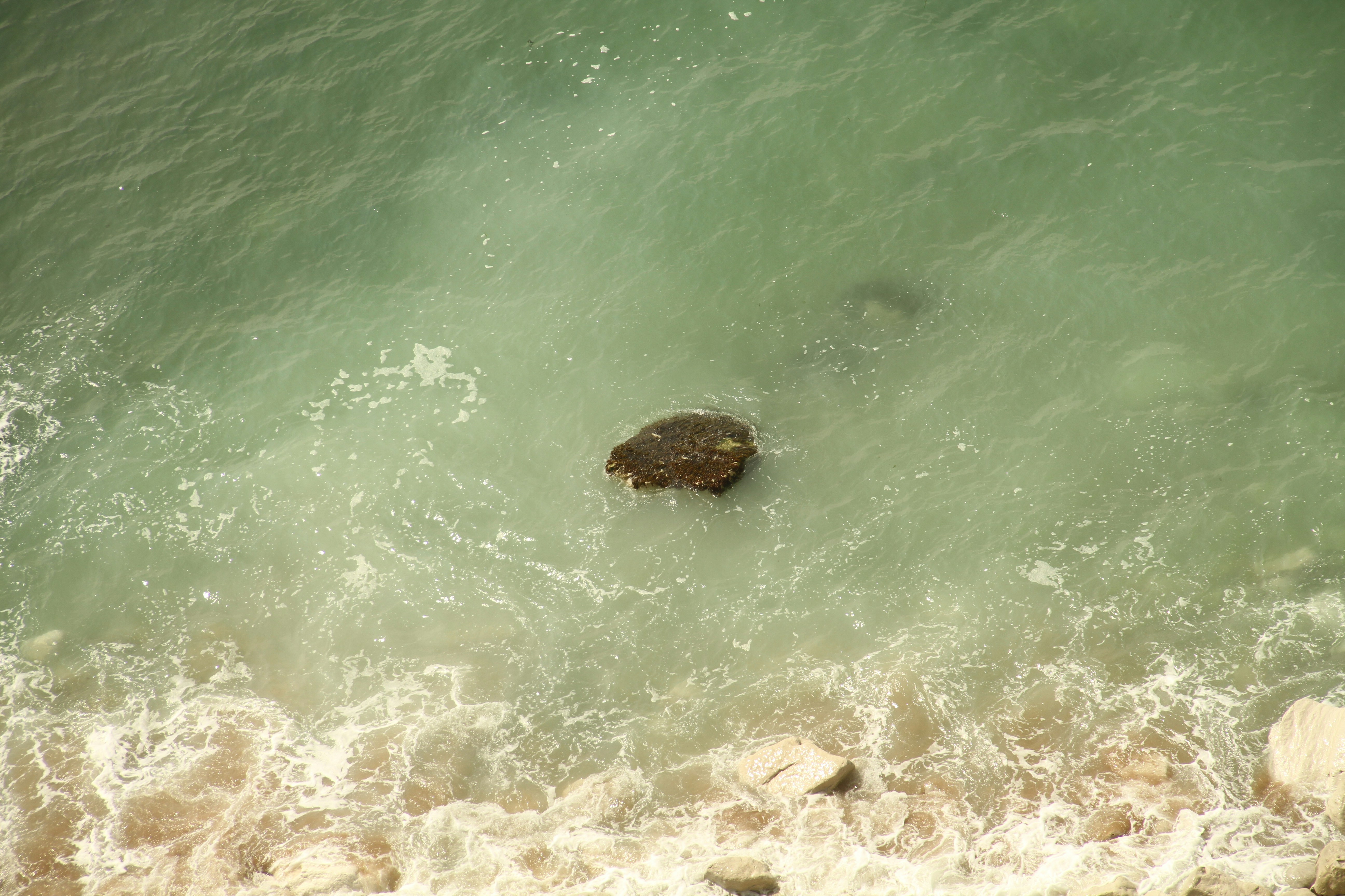 Solitary Rock Adrift in Emerald Coastal Waters