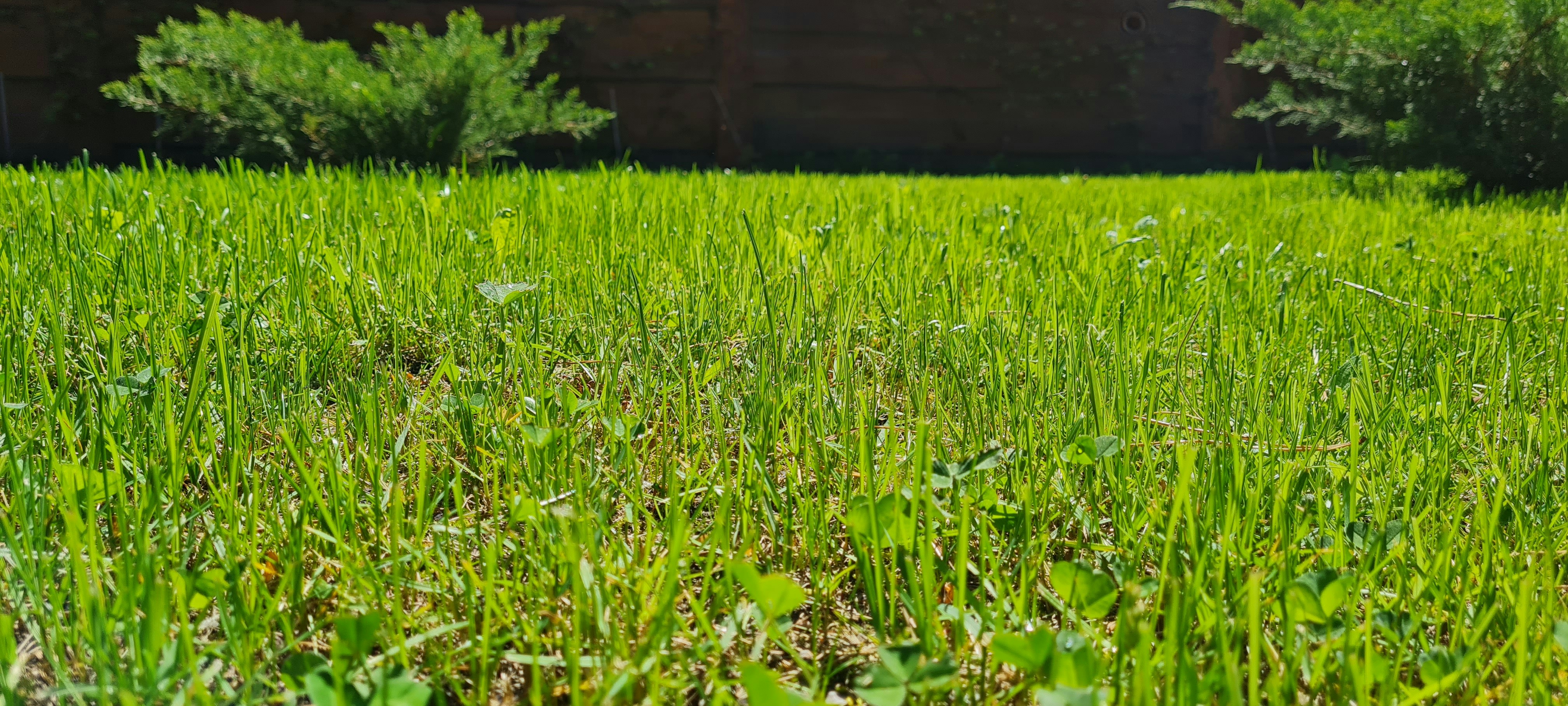A field of green grass with a brick building in the background photo ...