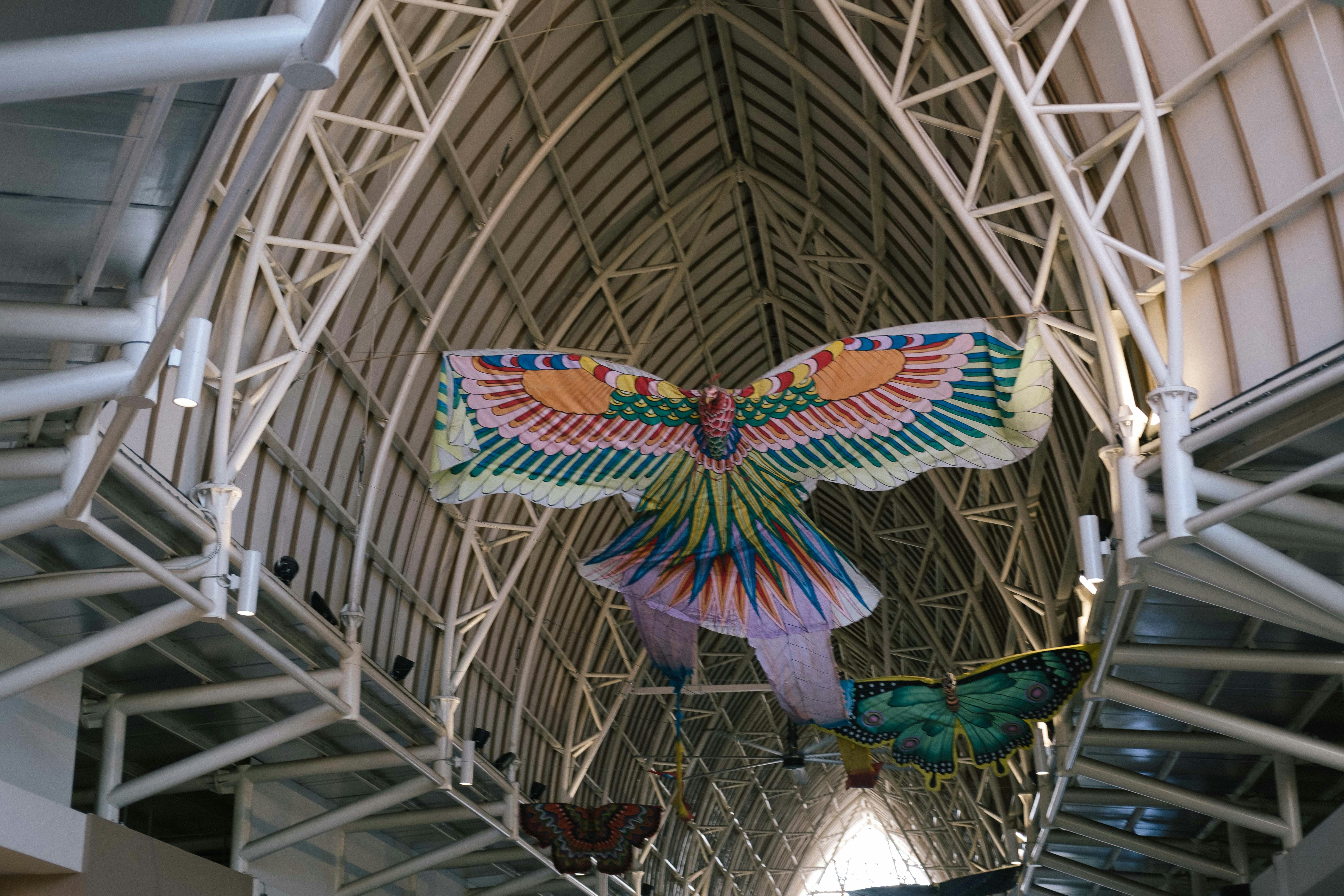 Winged Kinetic Art Suspended in an Architectural Atrium