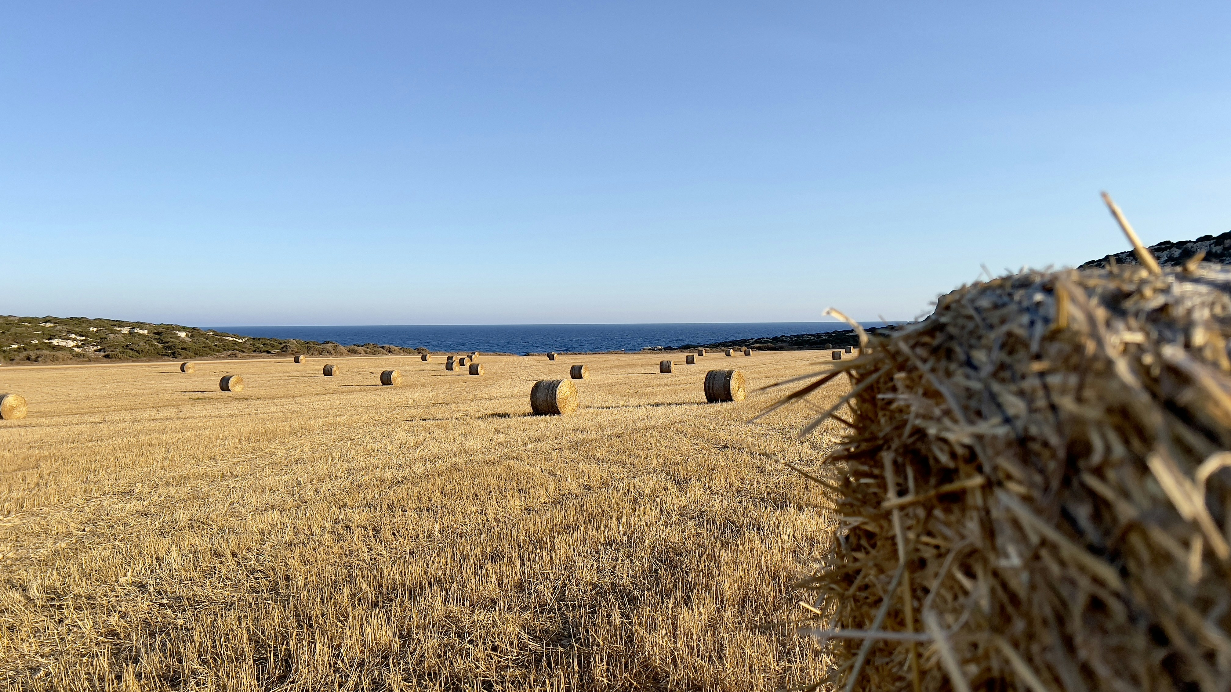 Coastal Harvest: Golden Hay Bales Scatter a Sunlit Prairie Toward the Sea