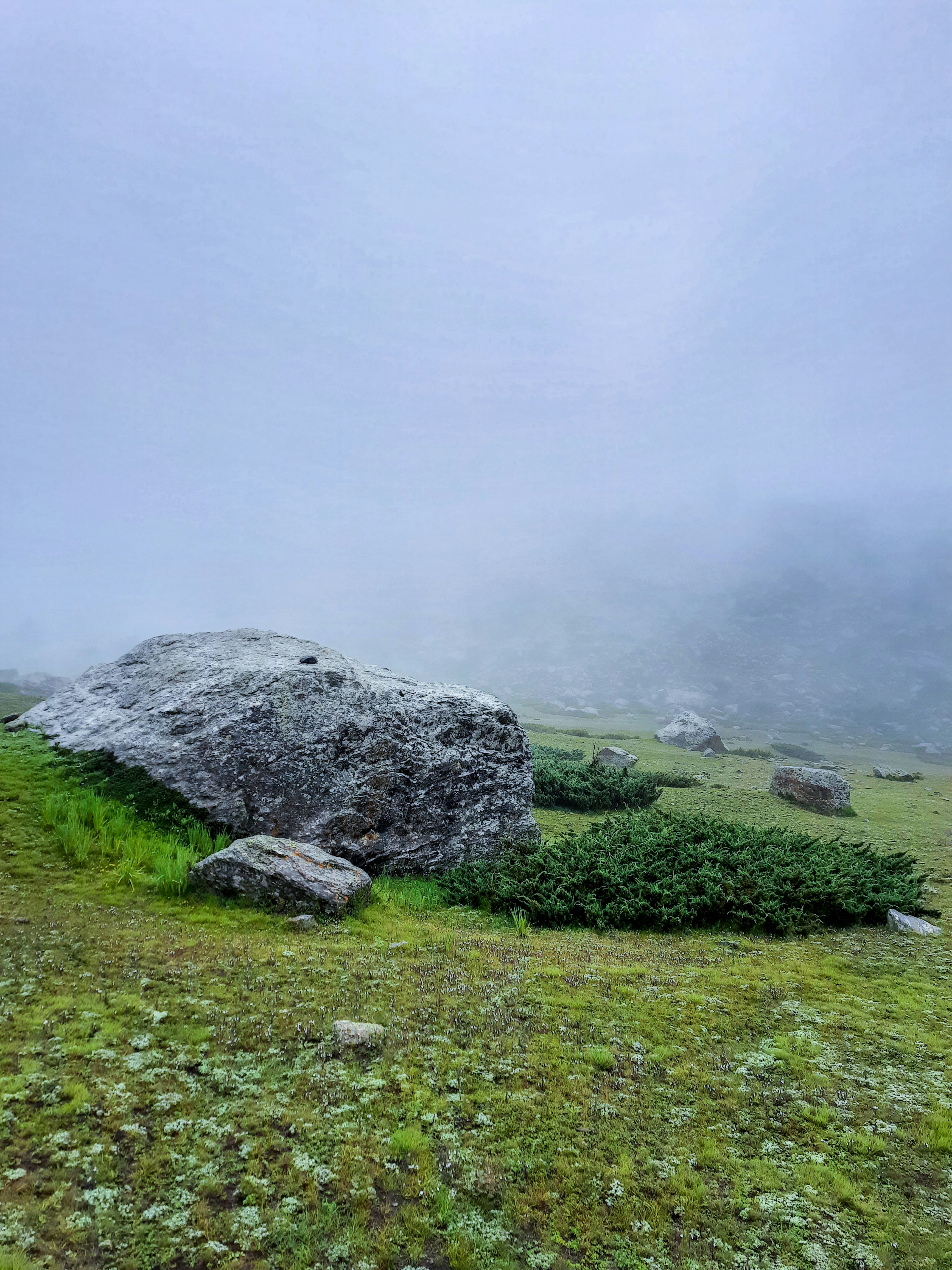Un gros rocher assis au sommet d’un champ verdoyant photo – Photo Kalpa ...