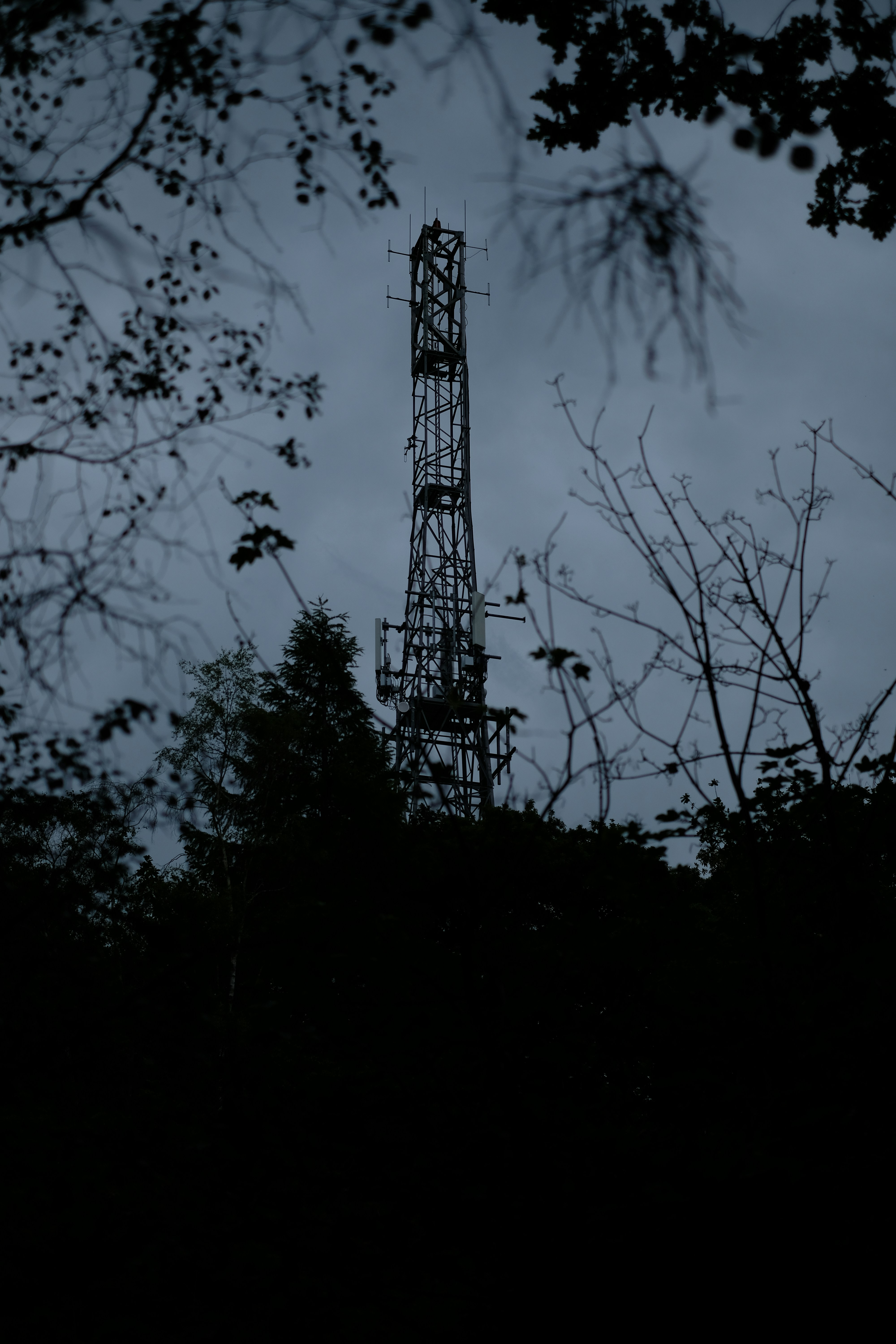 Silhouette Tower: Nightain Mast Looming Over Quiet Forest