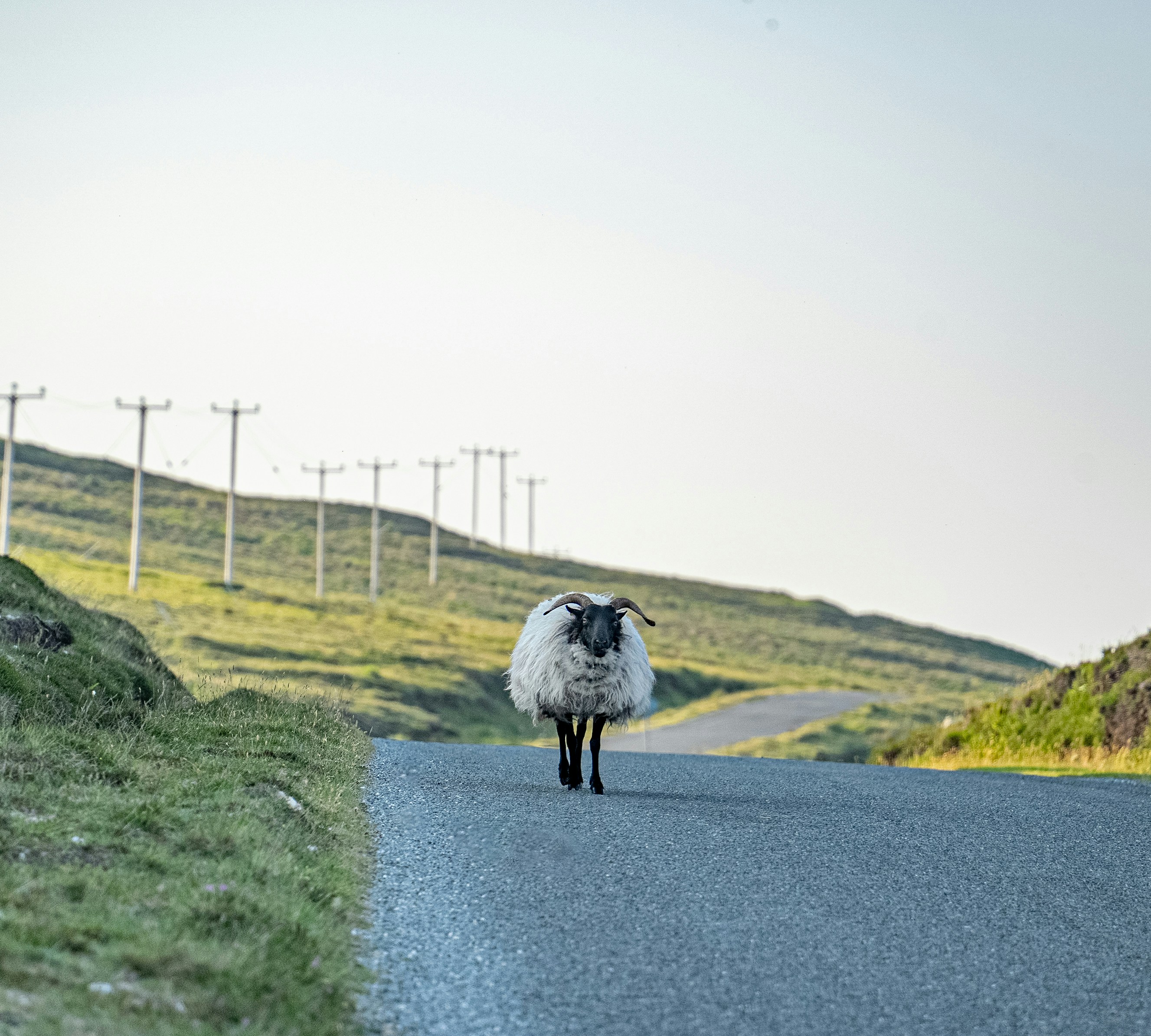 Photo by mana5280 with Sony Alpha 1